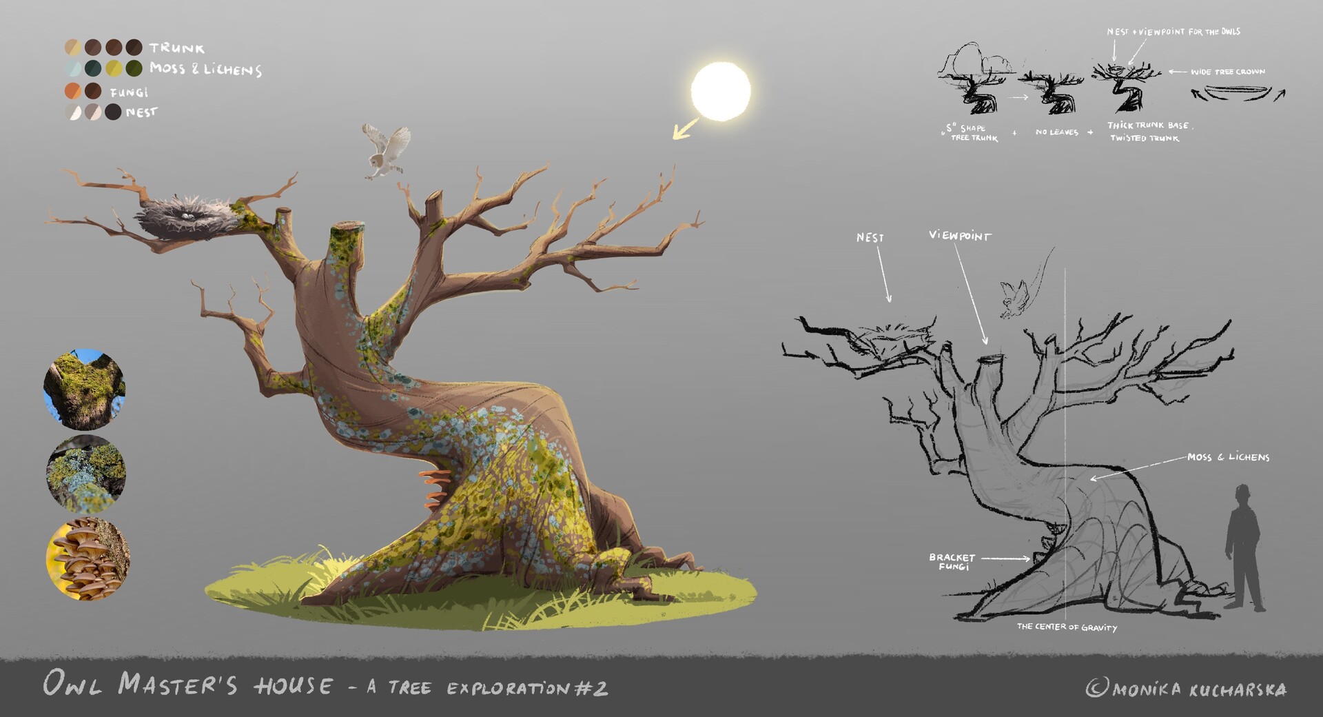 ArtStation - Owl Master house /BG