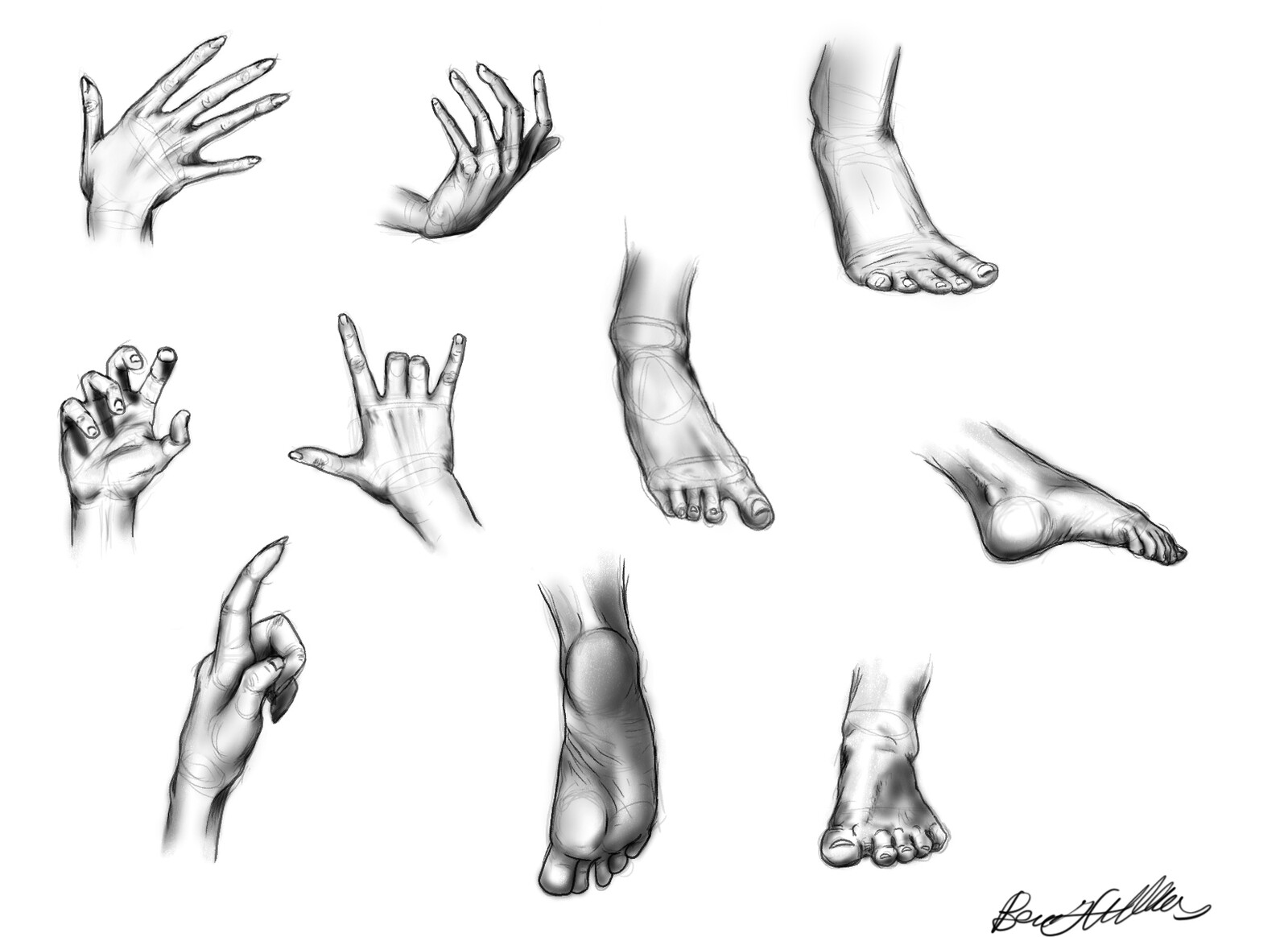 Beverly Williams - Hand + Foot Studies