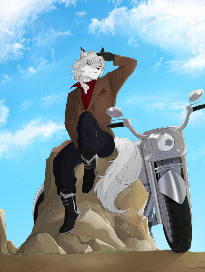 ArtStation - Silver Wolffgang