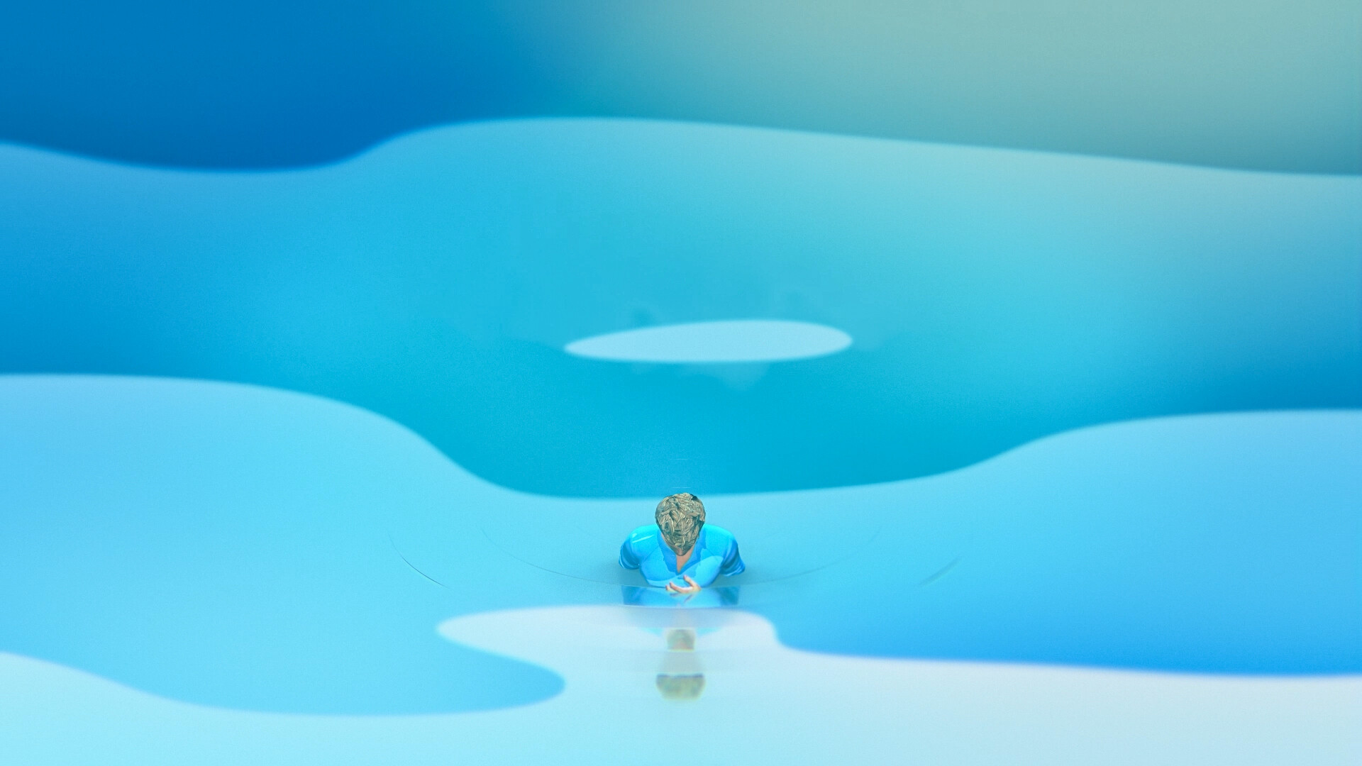 Gary Bird - NARCISSUS