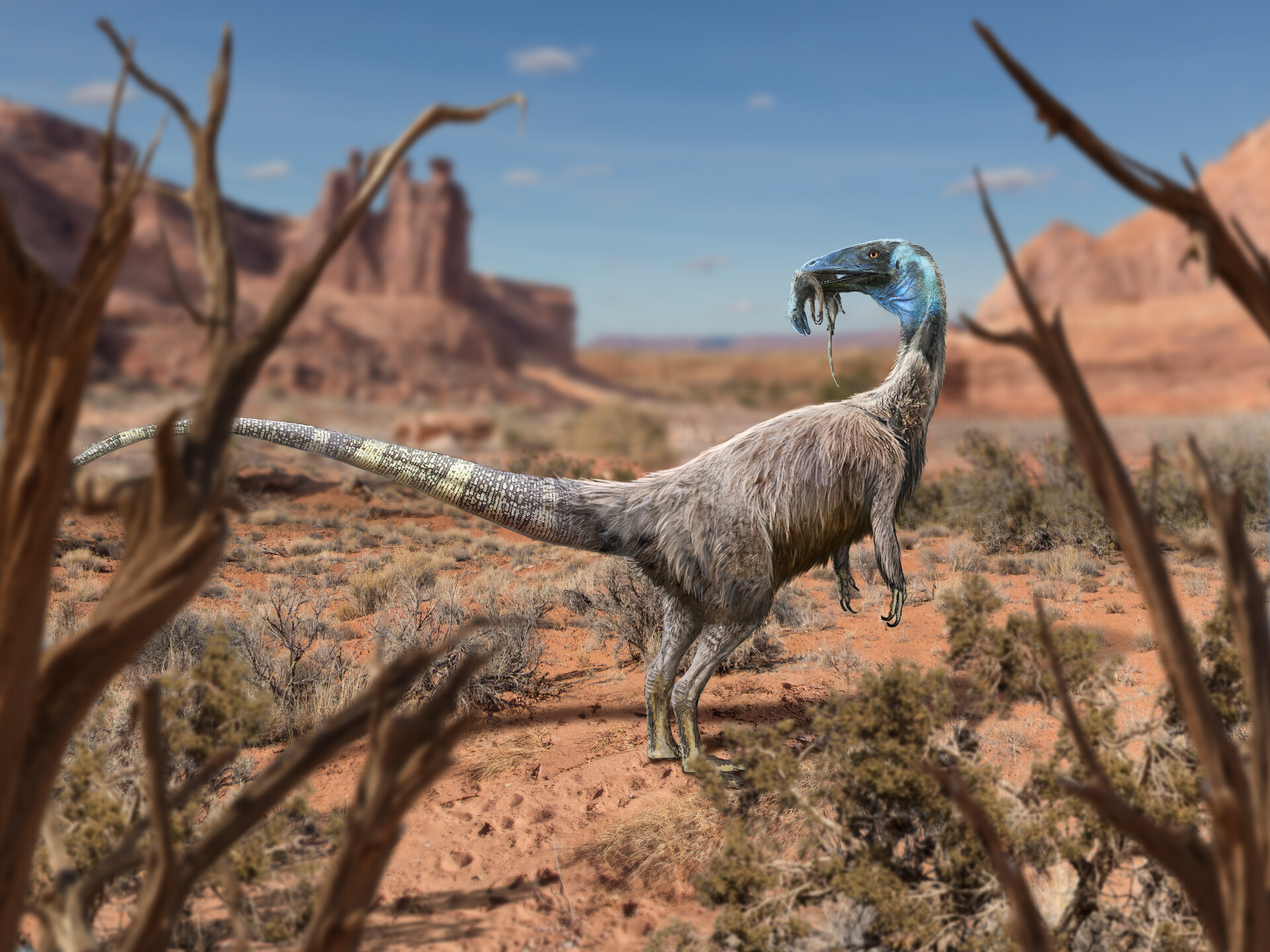 ArtStation - Coelophysis cannibalism for PBS' EONS