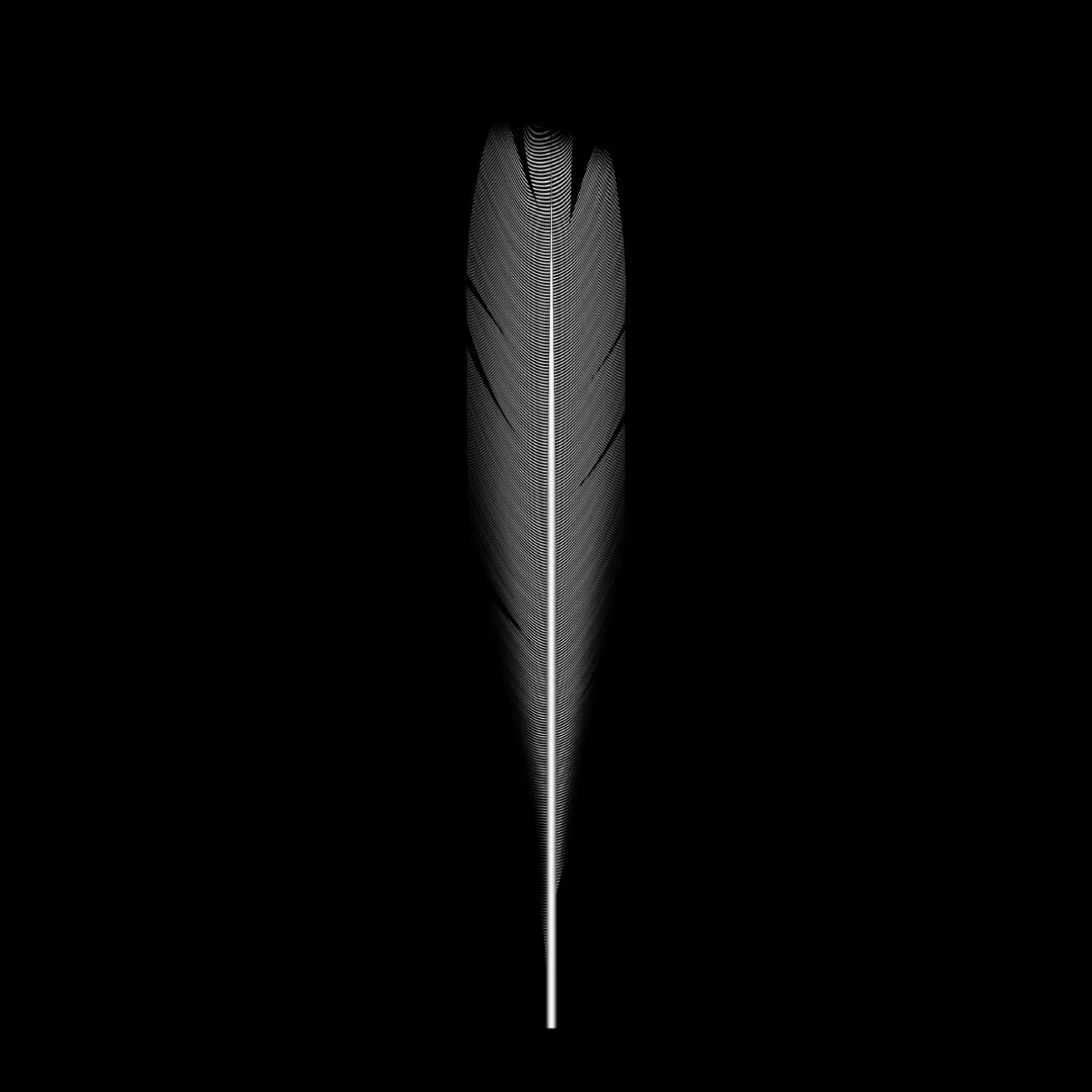 ArtStation - exercise for procedural feather