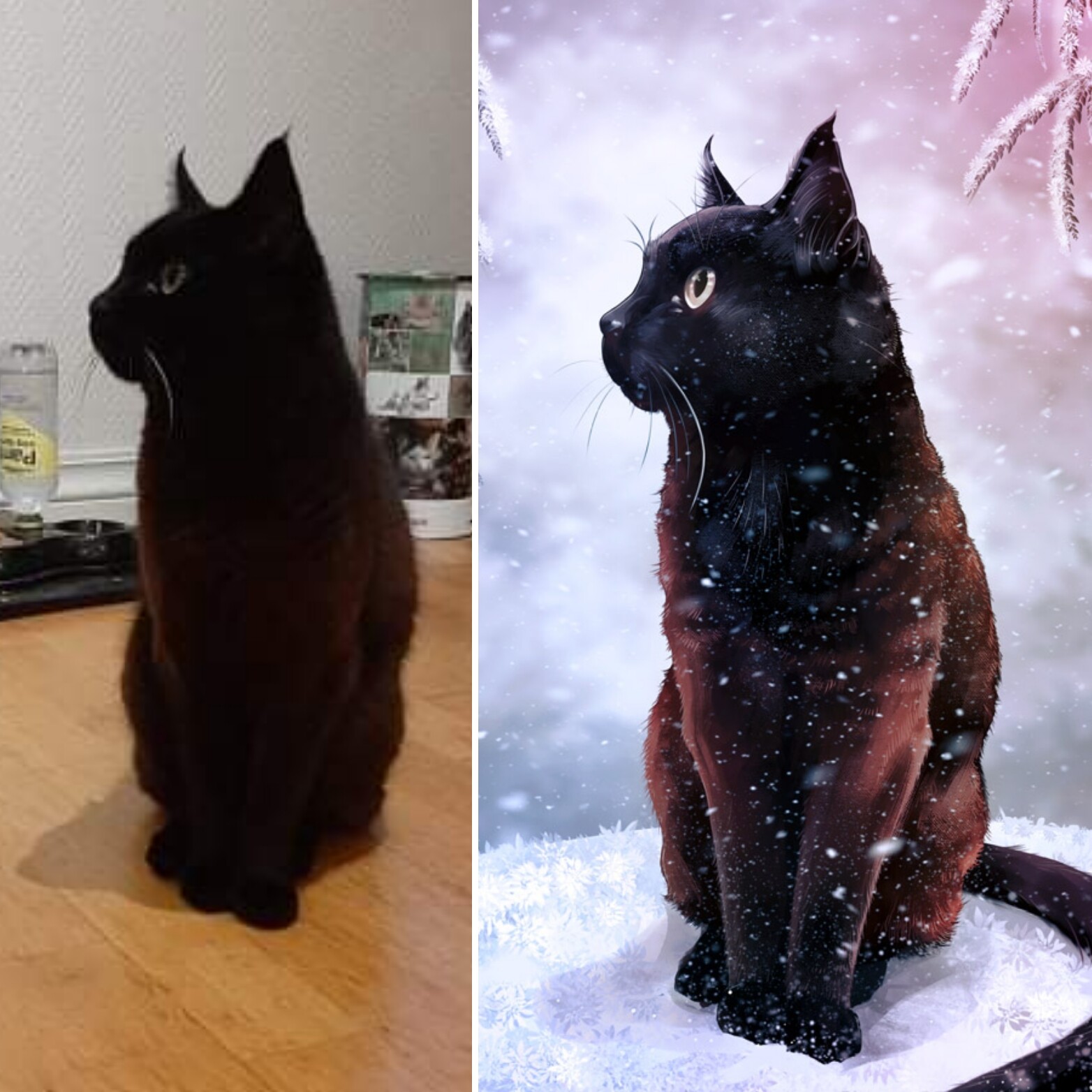 Standing Cat Snow Meme