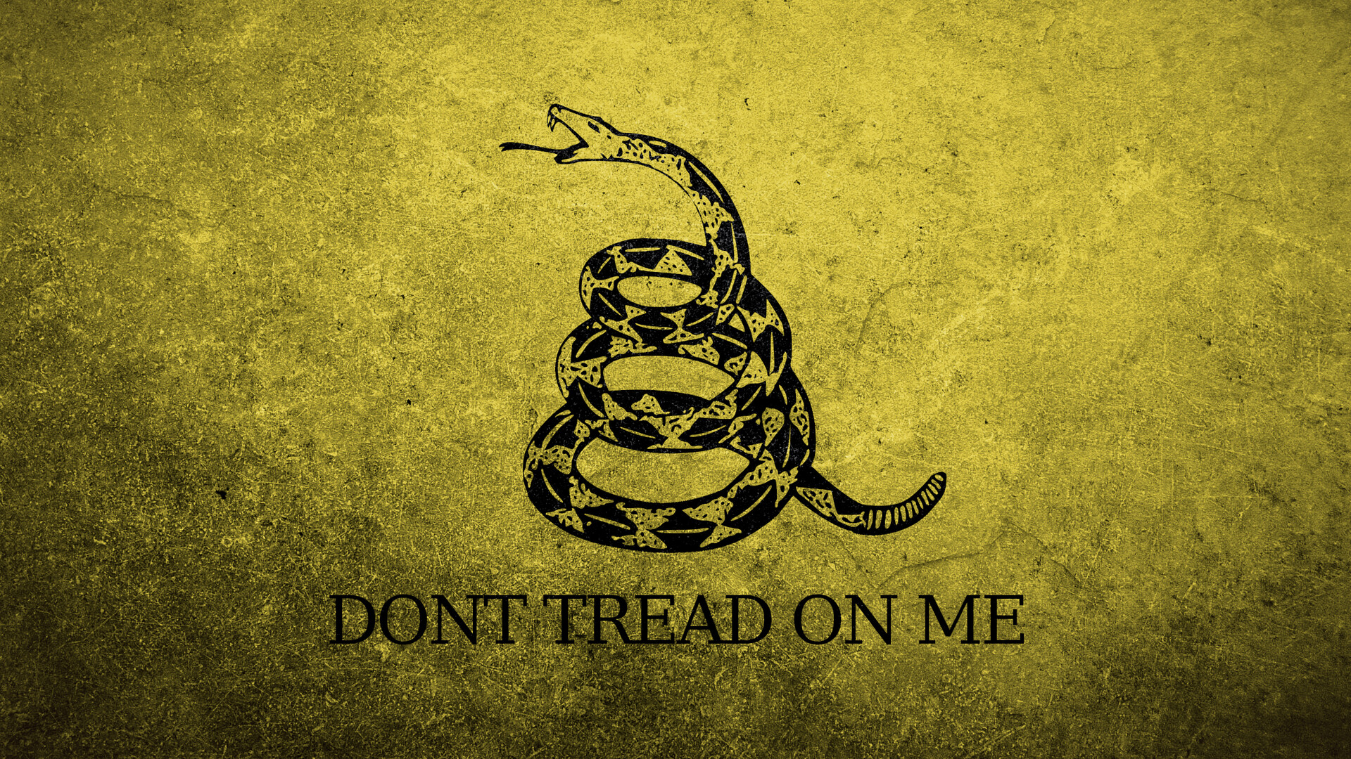 Dont Tread On Me Wallpaper 1920x1080