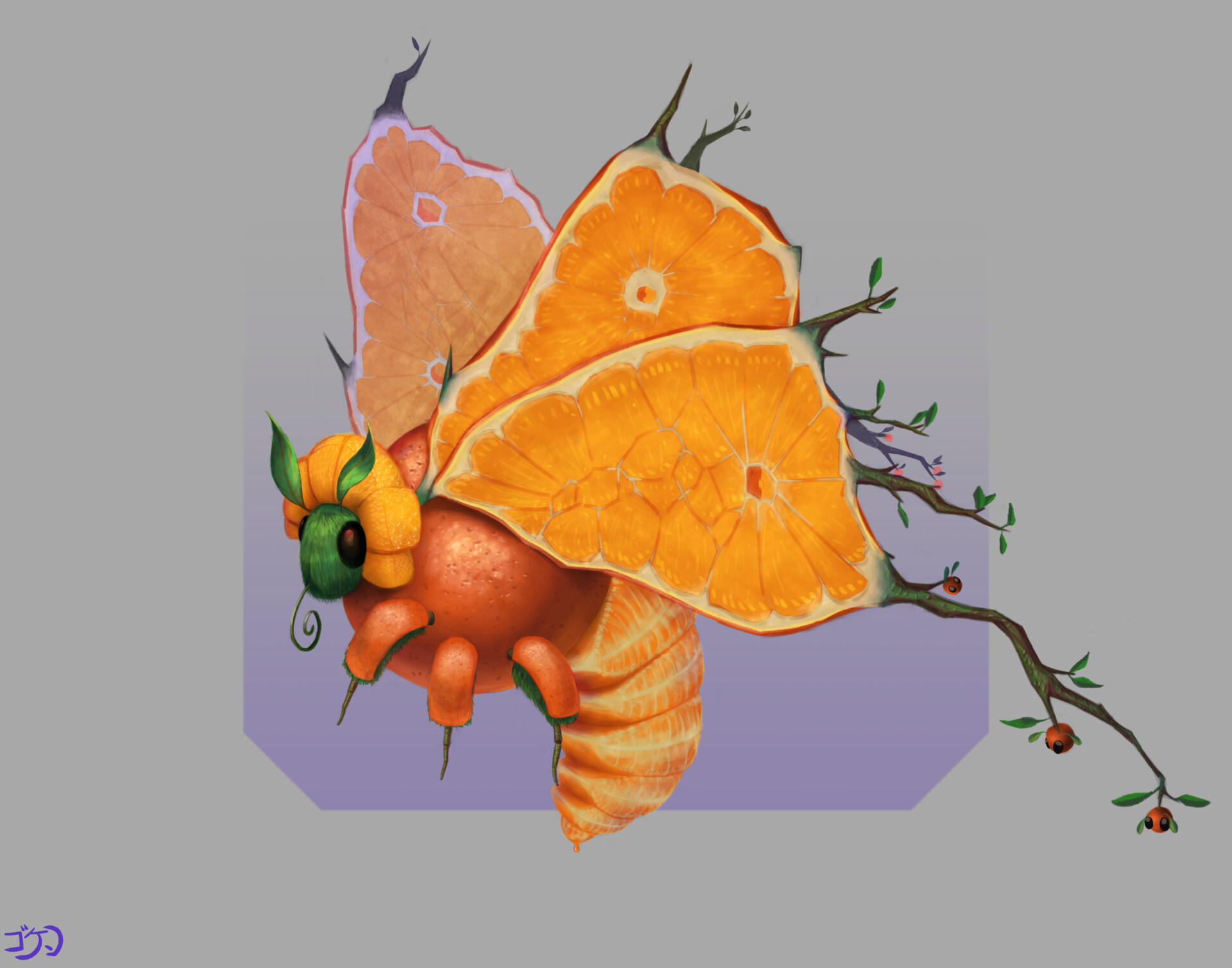 orange luna moth