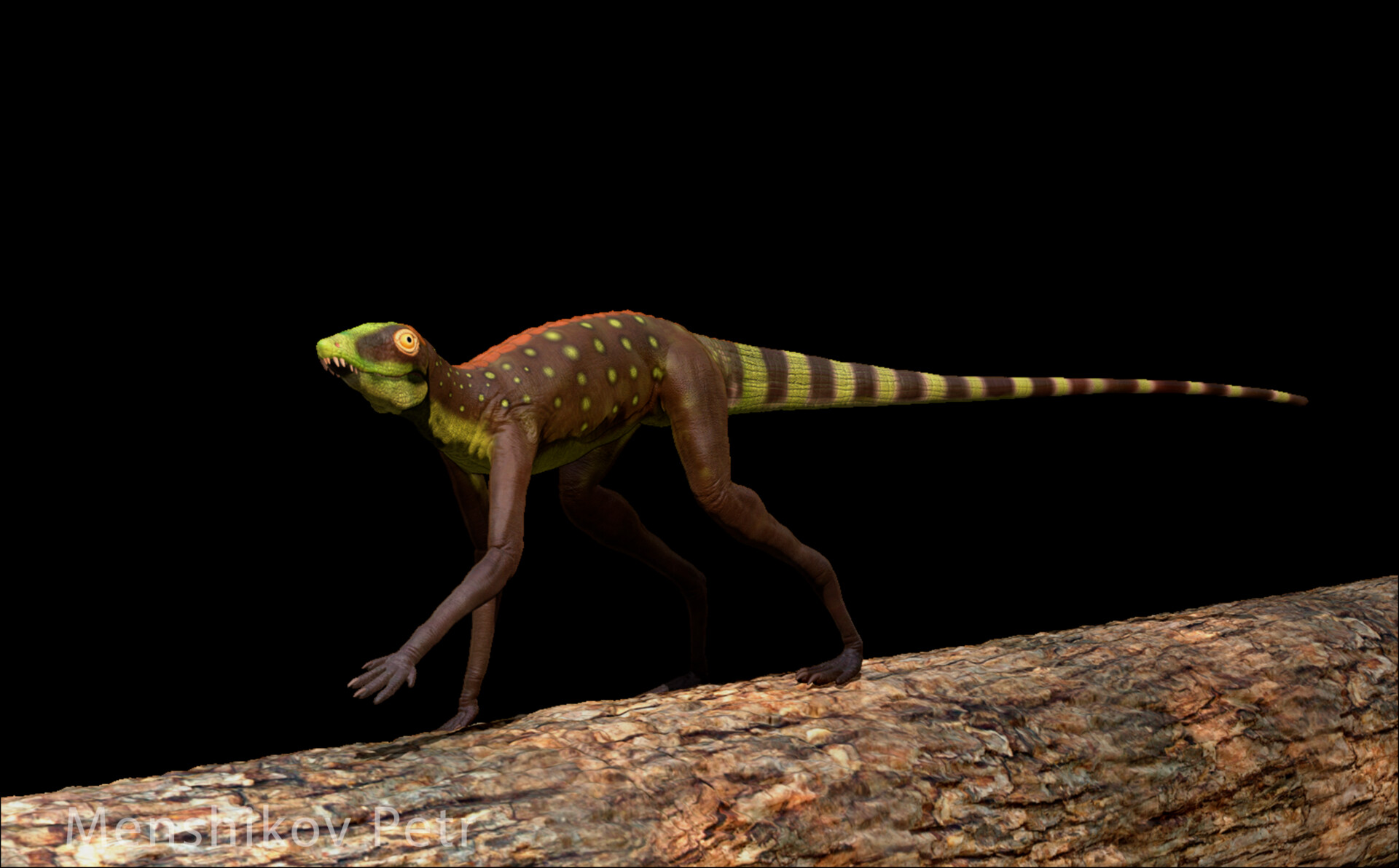 petr menshikov (looking for job) - 3d model of Hallopus victor