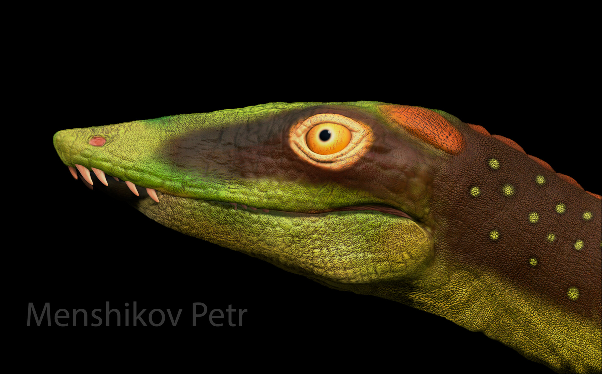 petr menshikov (looking for job) - 3d model of Hallopus victor