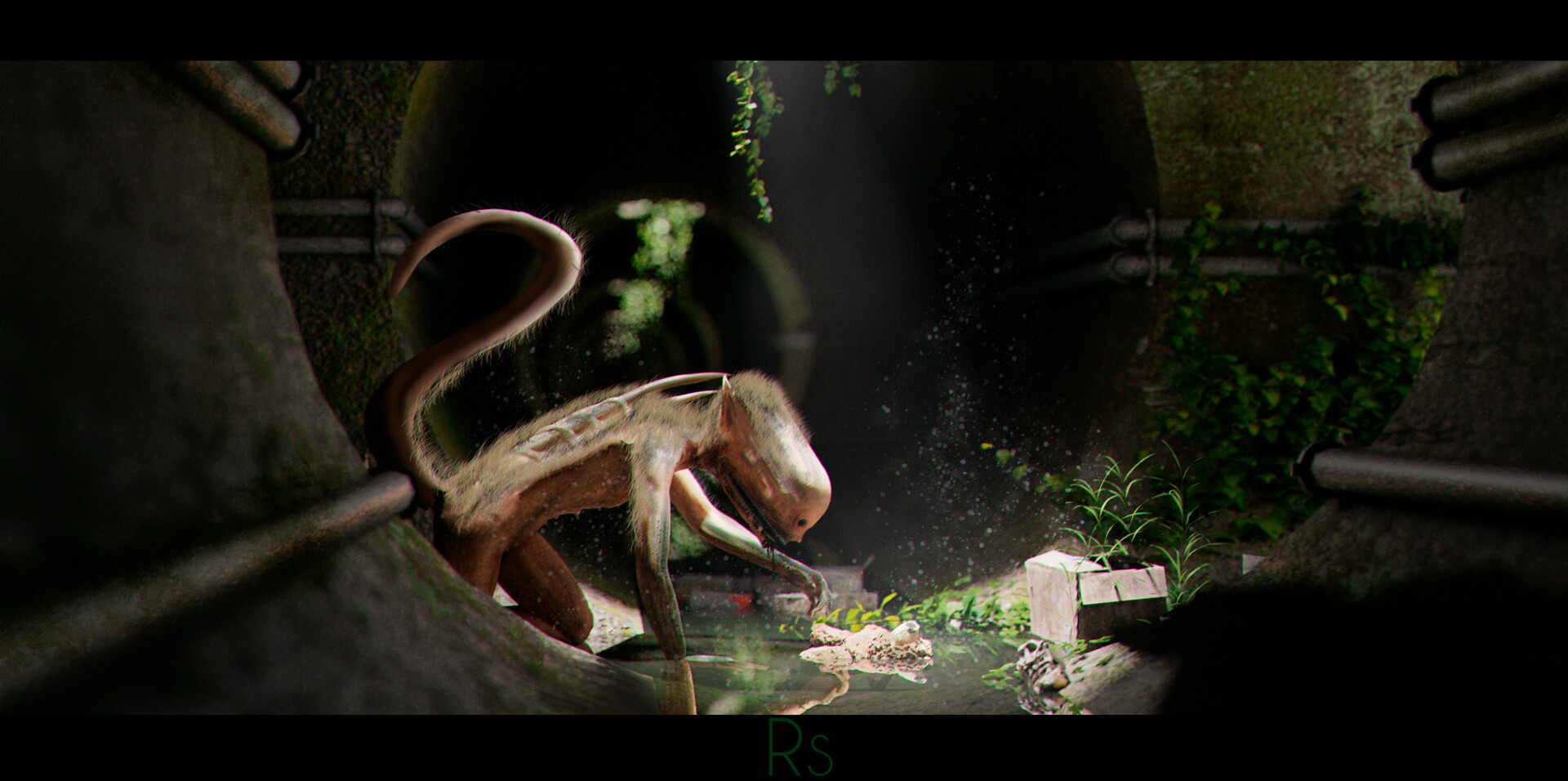 Rob Santos - RAATMA (VHS)