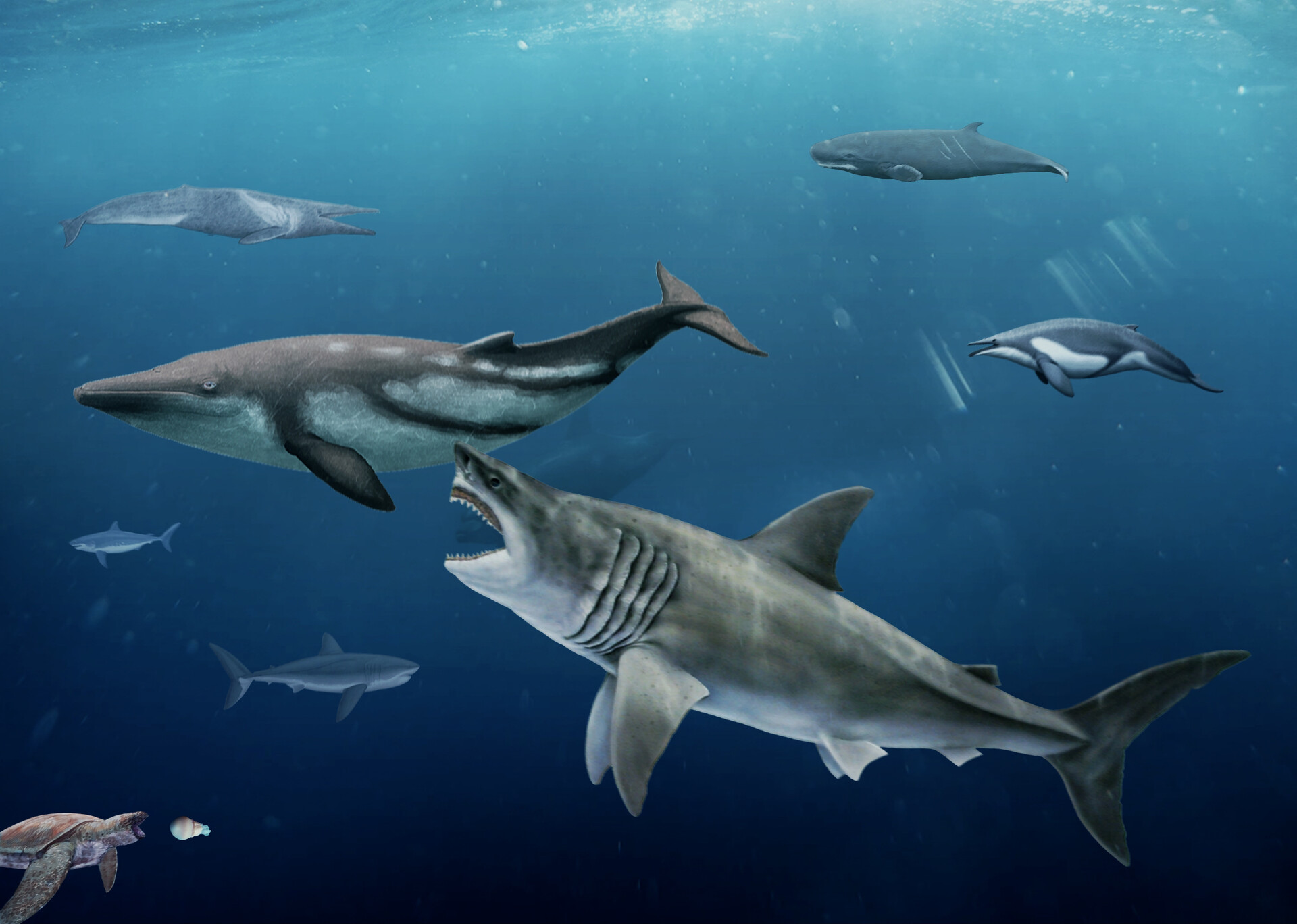 ArtStation - Pliocene Sea Panorama