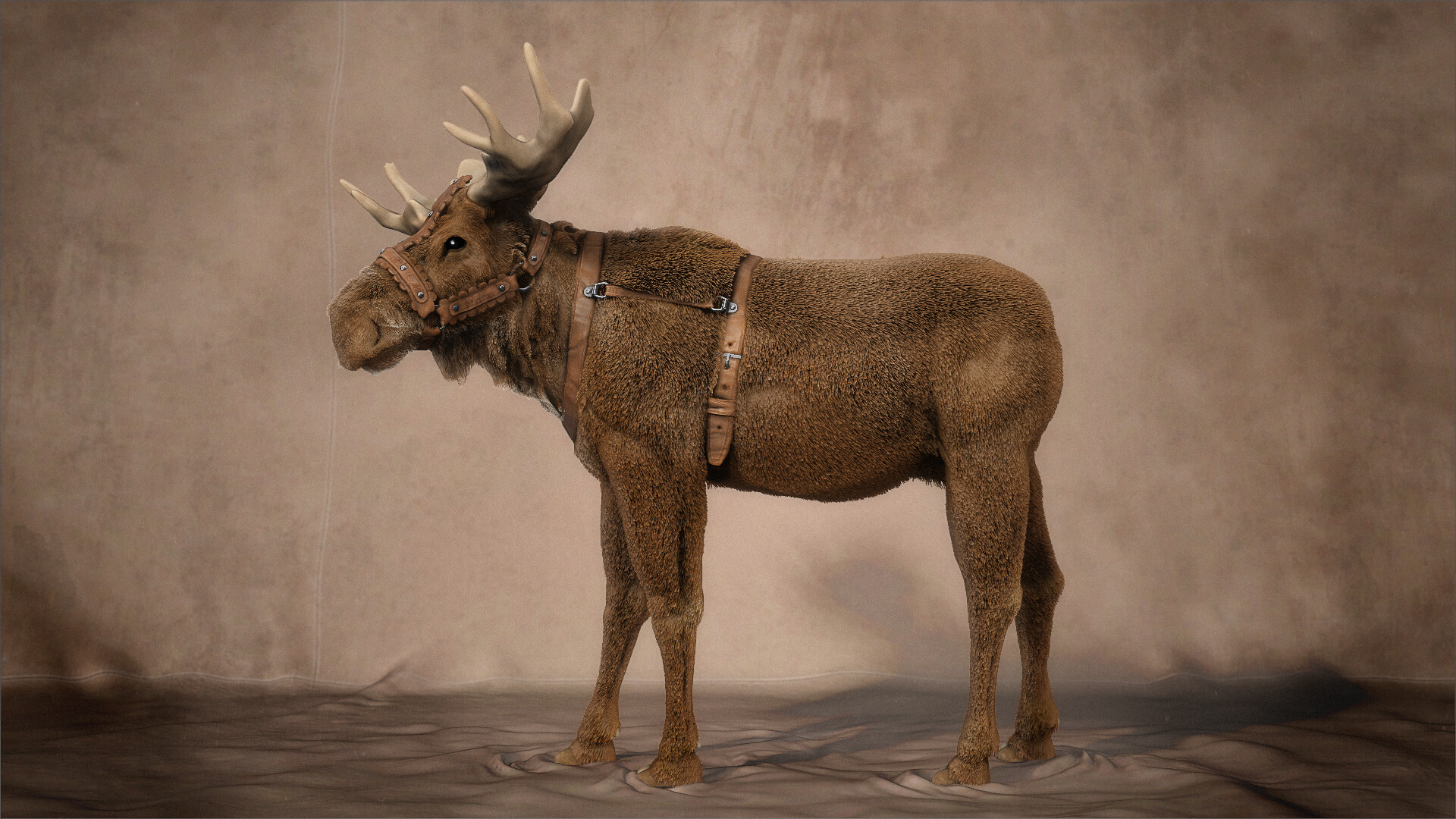 ArtStation - Moose
