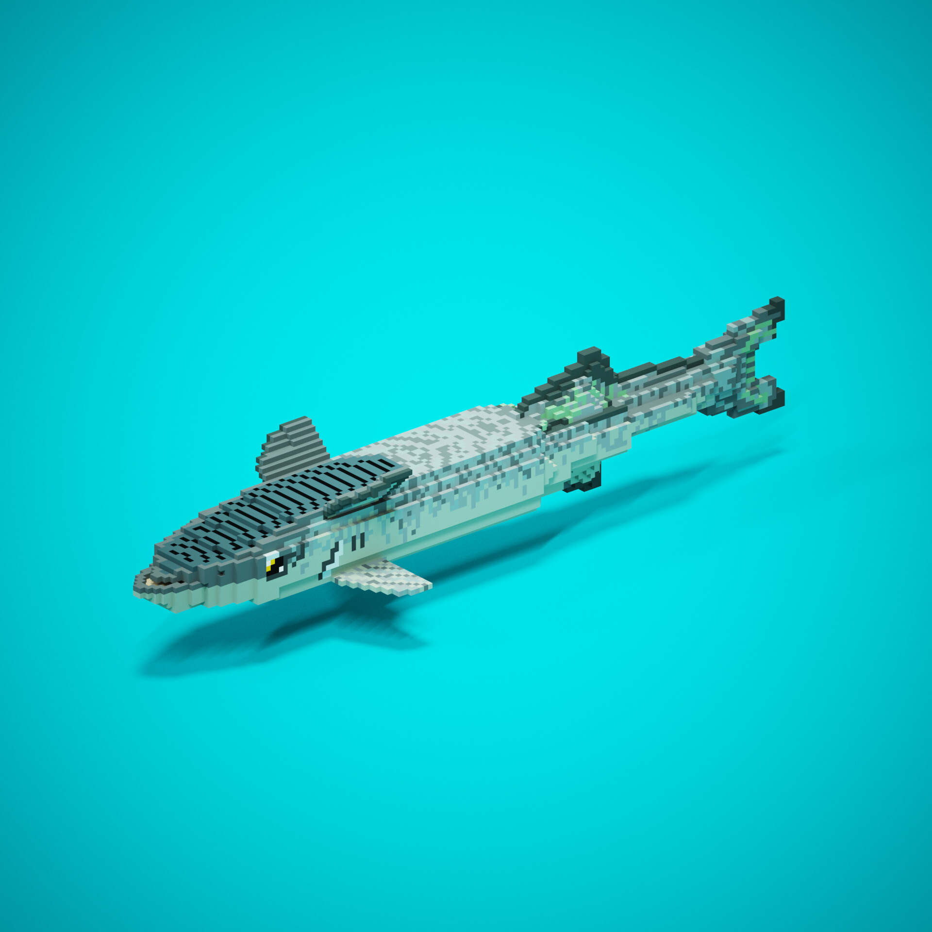 Vizuu3d - Voxel Remora Fish