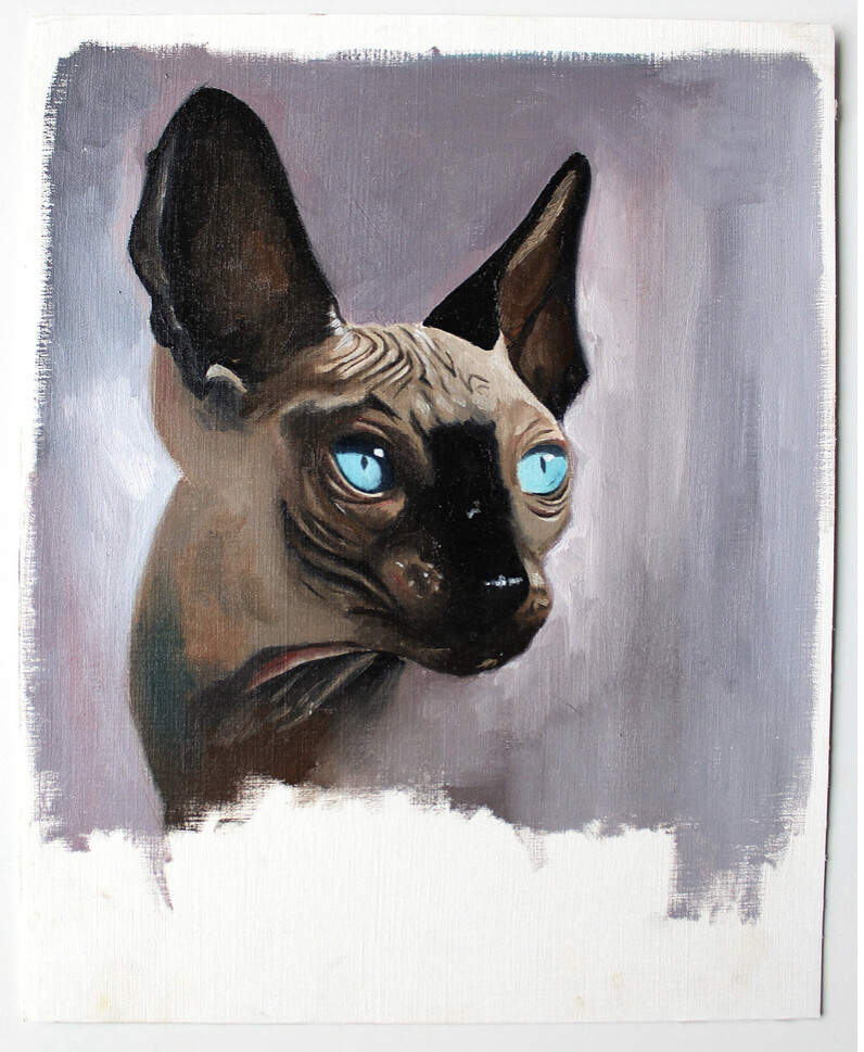 ArtStation - Sphinx cat