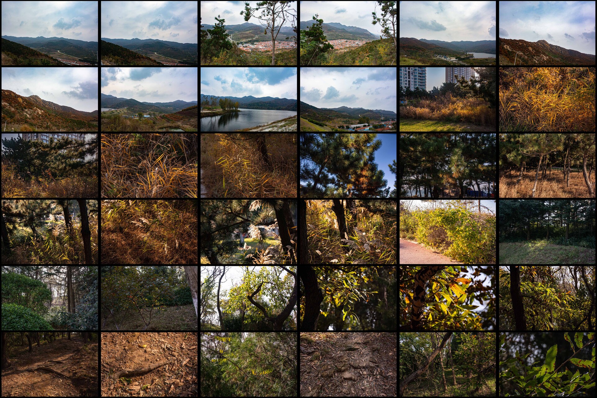 pig jio - Coastal Mountains_Reference Pack