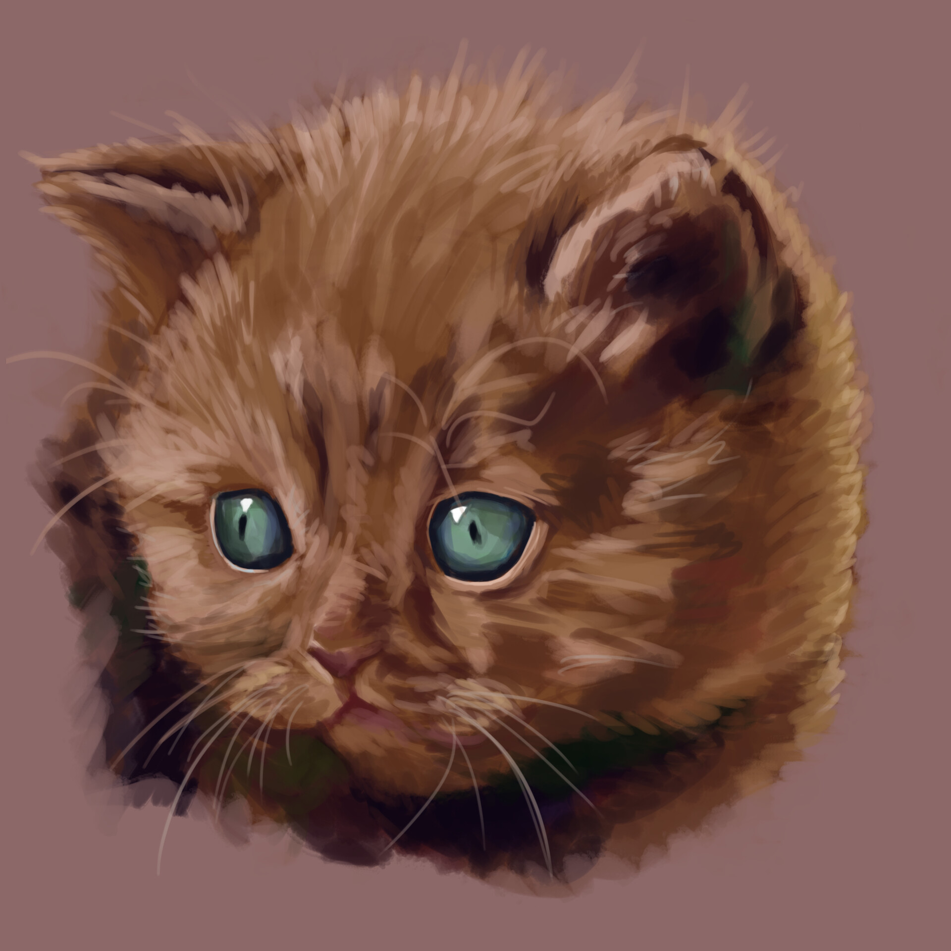 ArtStation - Kittens