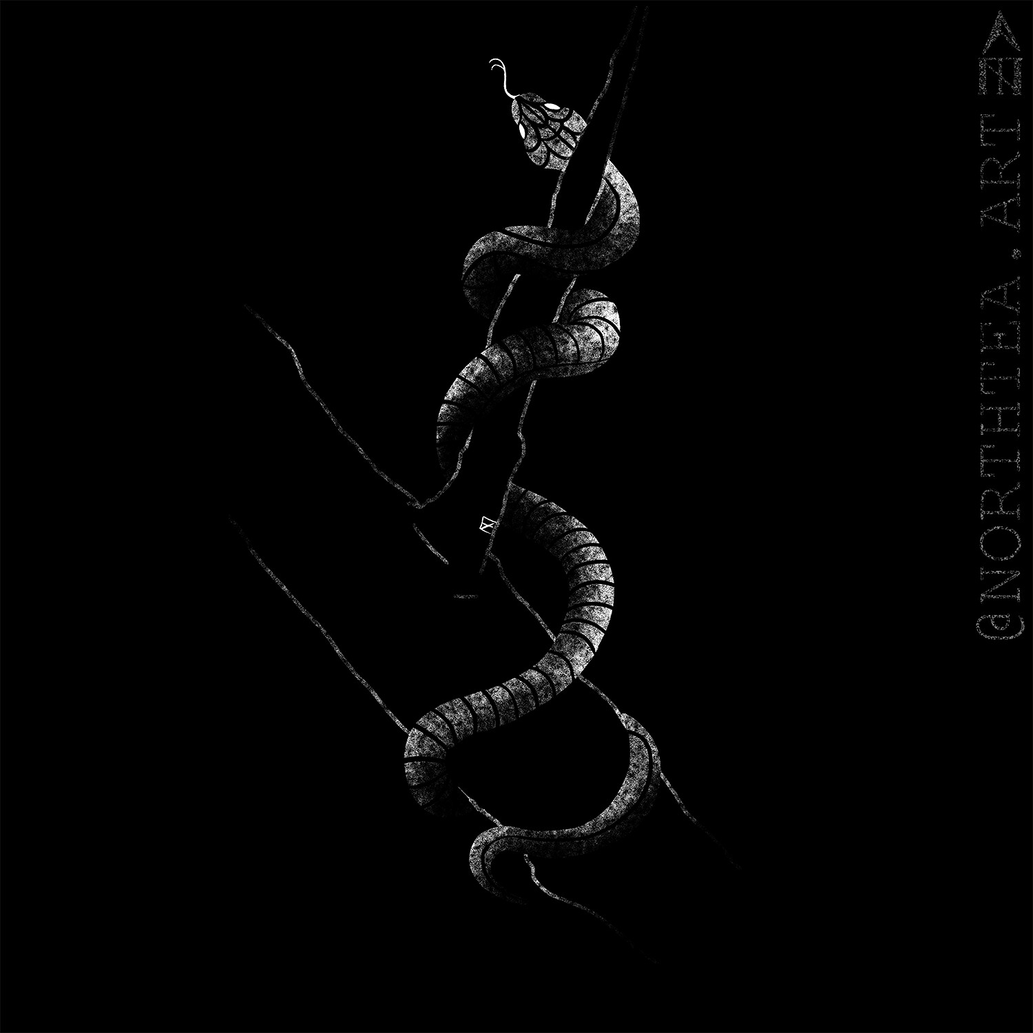 ArtStation - Slither