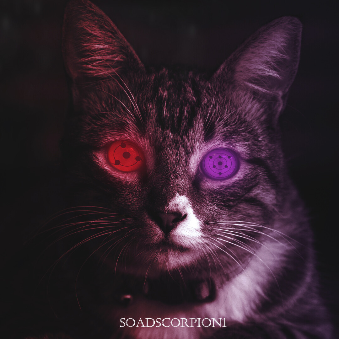 ArtStation - The cat