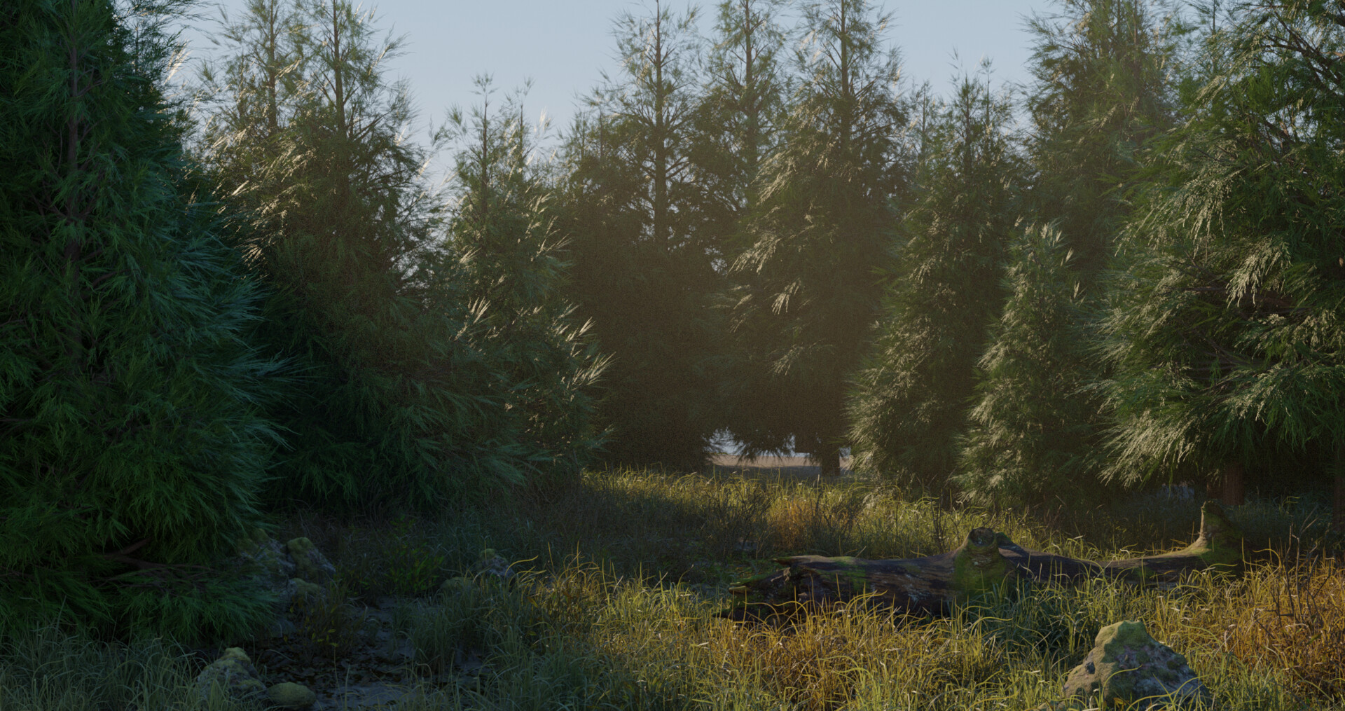 ArtStation - forest