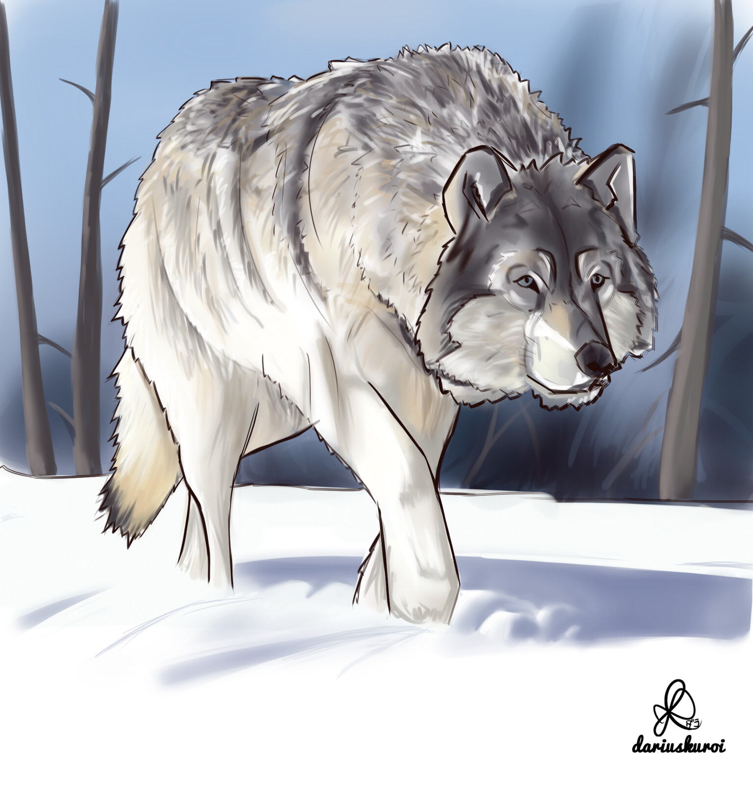 Sandra Collazo - Animals