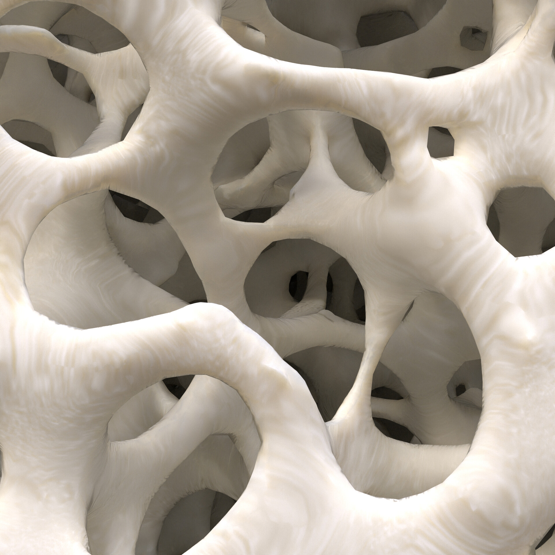 3D Lime - Bone Sponge Structure