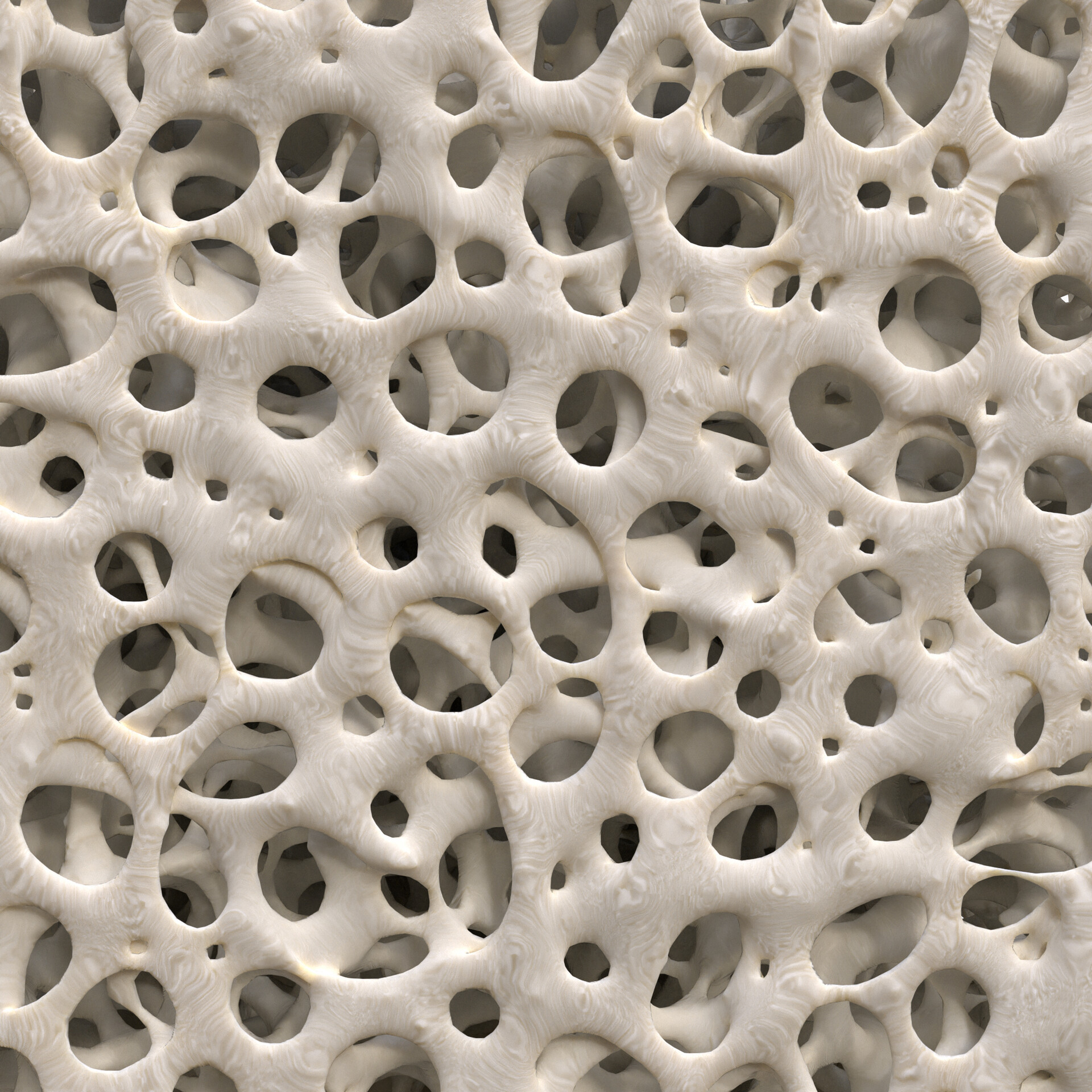 3D Lime - Bone Sponge Structure