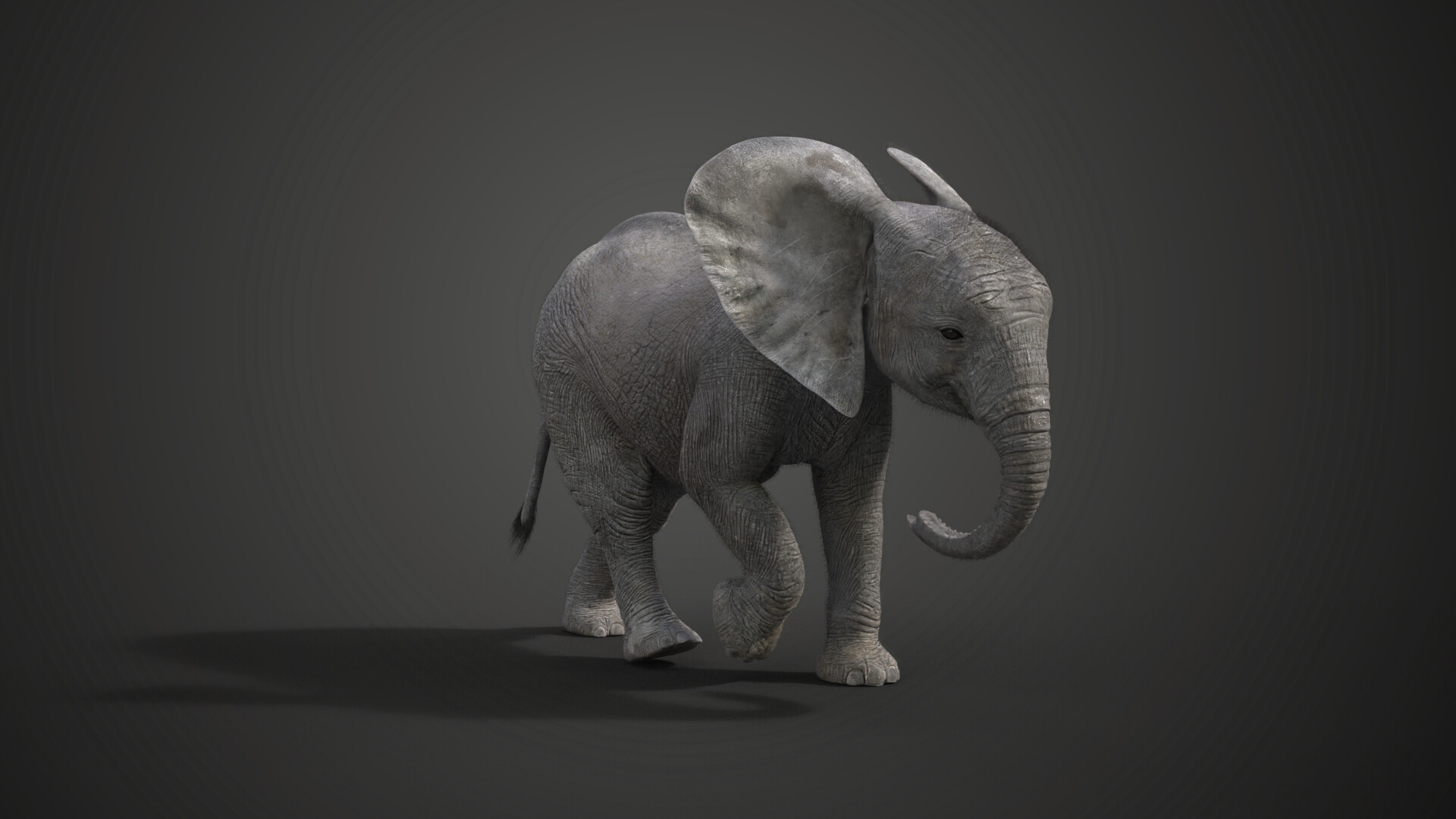 ArtStation - Young African Elephant Animated | VFX Grace