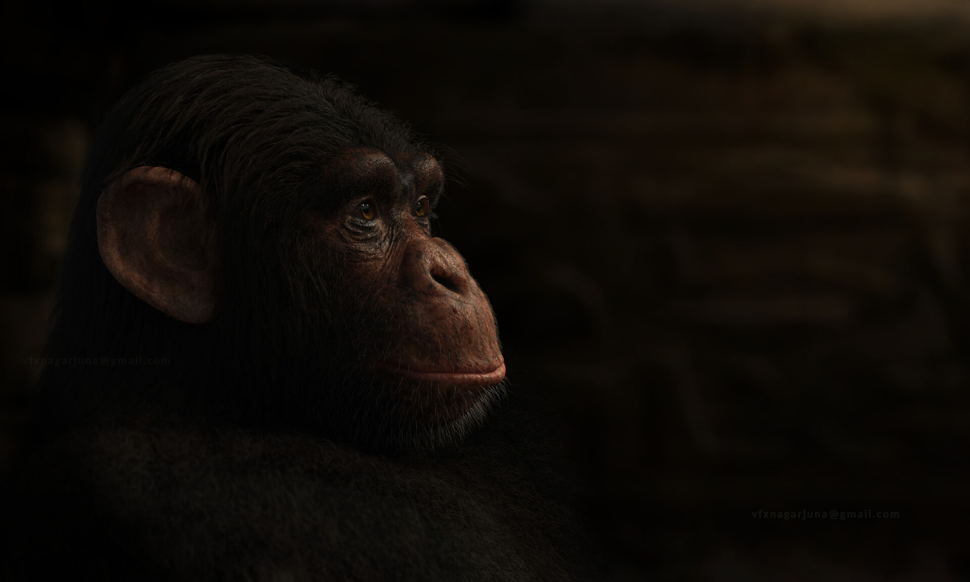 ArtStation - Ape Lookdevelopment