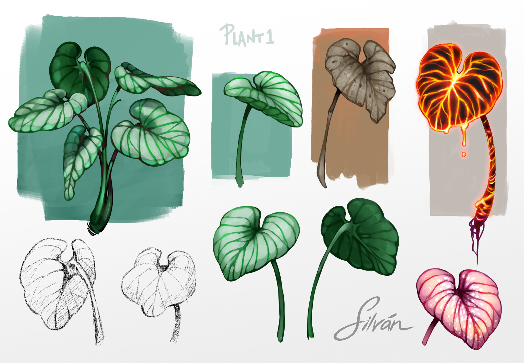 ArtStation - Plant design