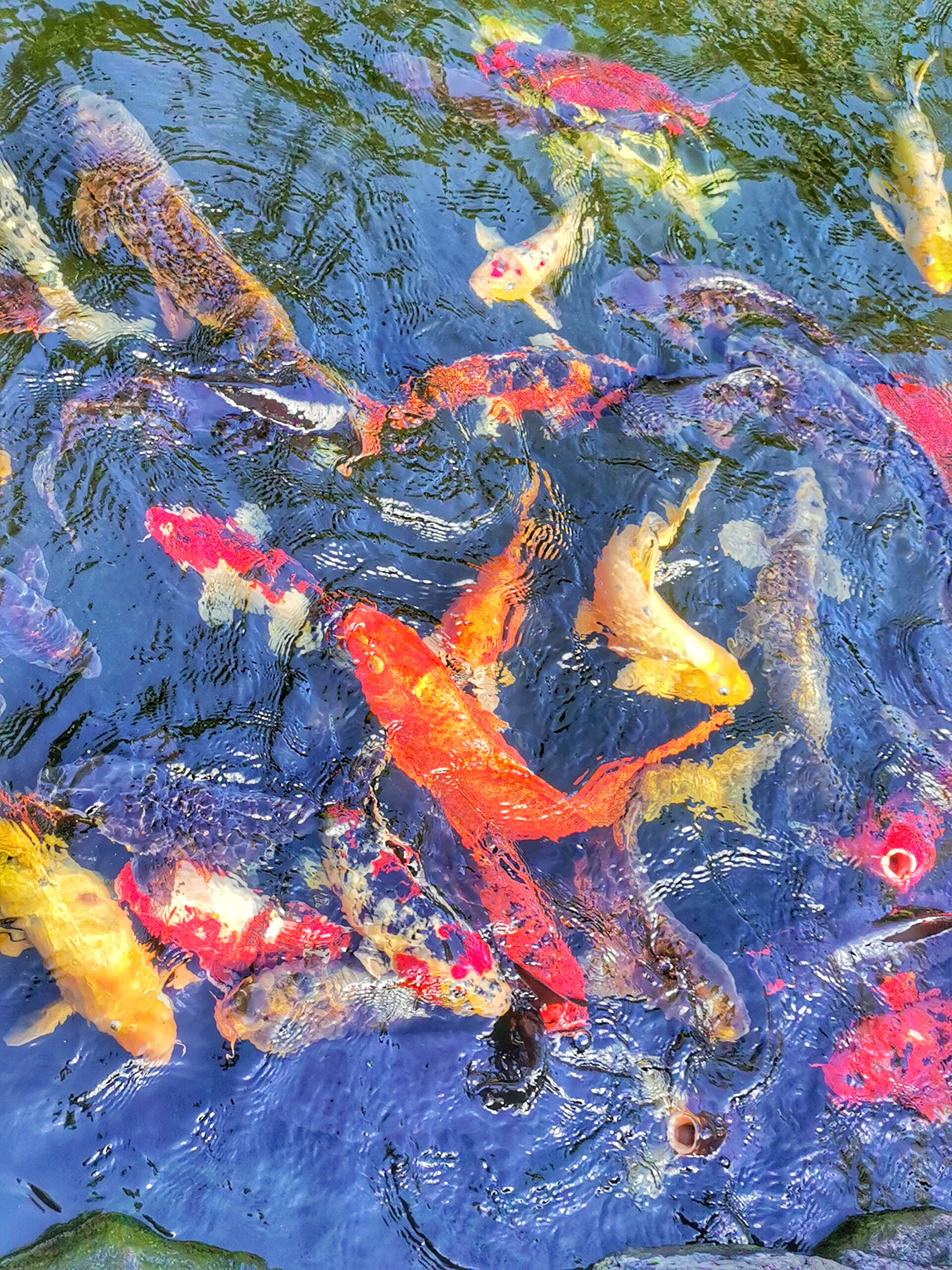 Anna Marinelli - Tenerife