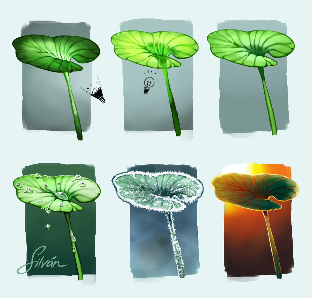 ArtStation - Plant study