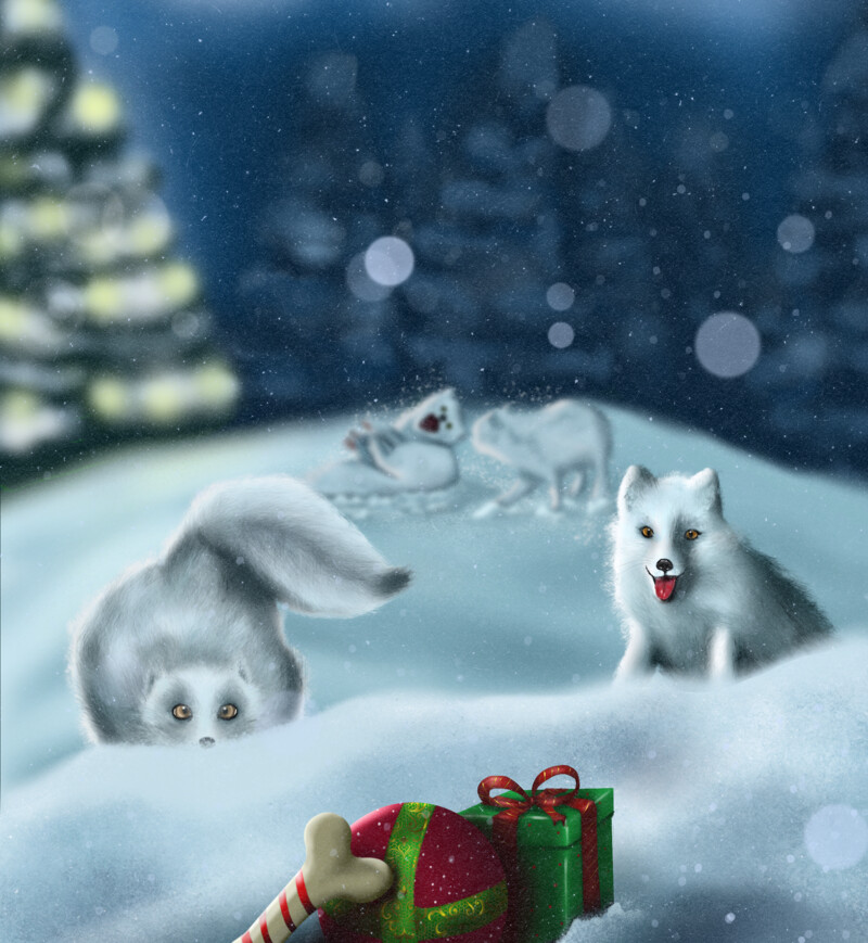 ArtStation - Danielle Ardon