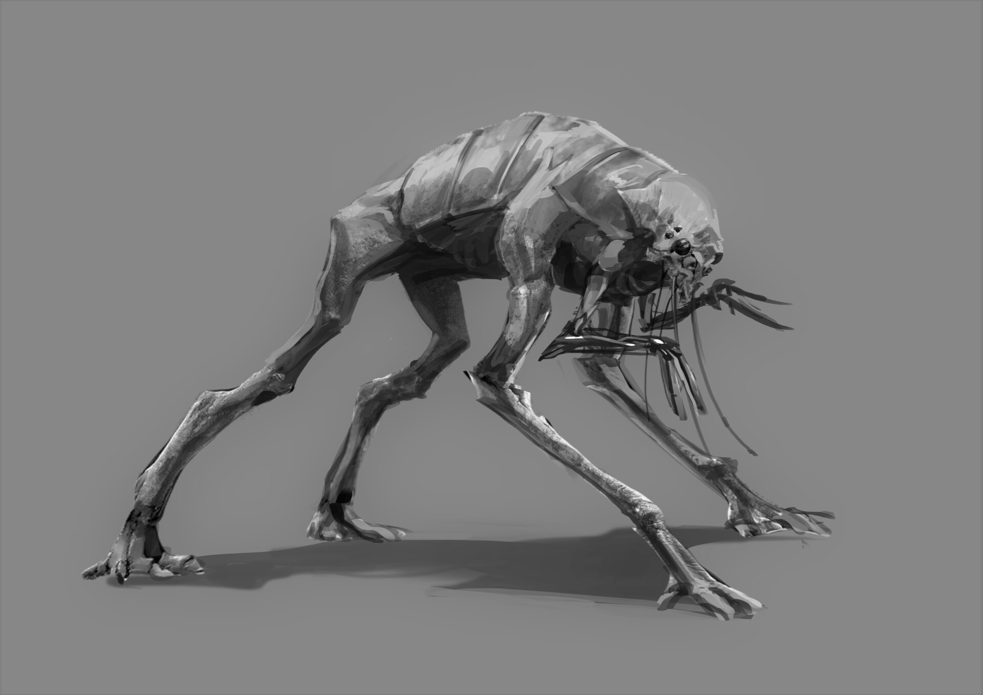 ArtStation - Alien bug species - Design process