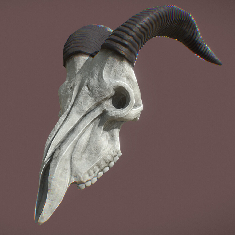 ArtStation - Goat Skull -Game Asset