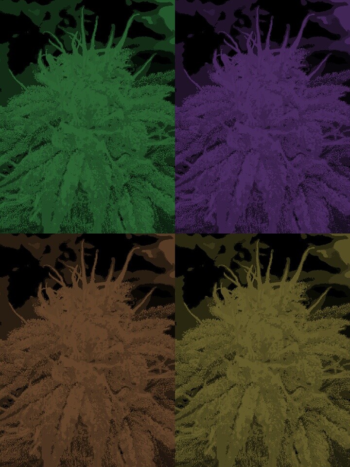 ArtStation - Sticky Stuck