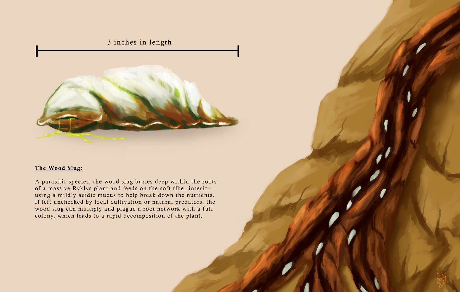 ArtStation - The Wood Slug of Furmalus