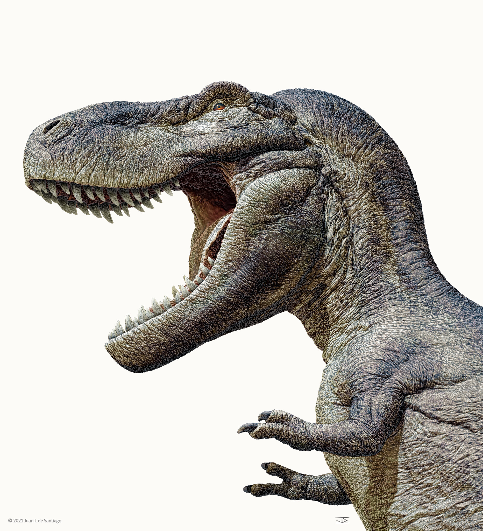 ArtStation - T-Rex Illustration/Sculpt