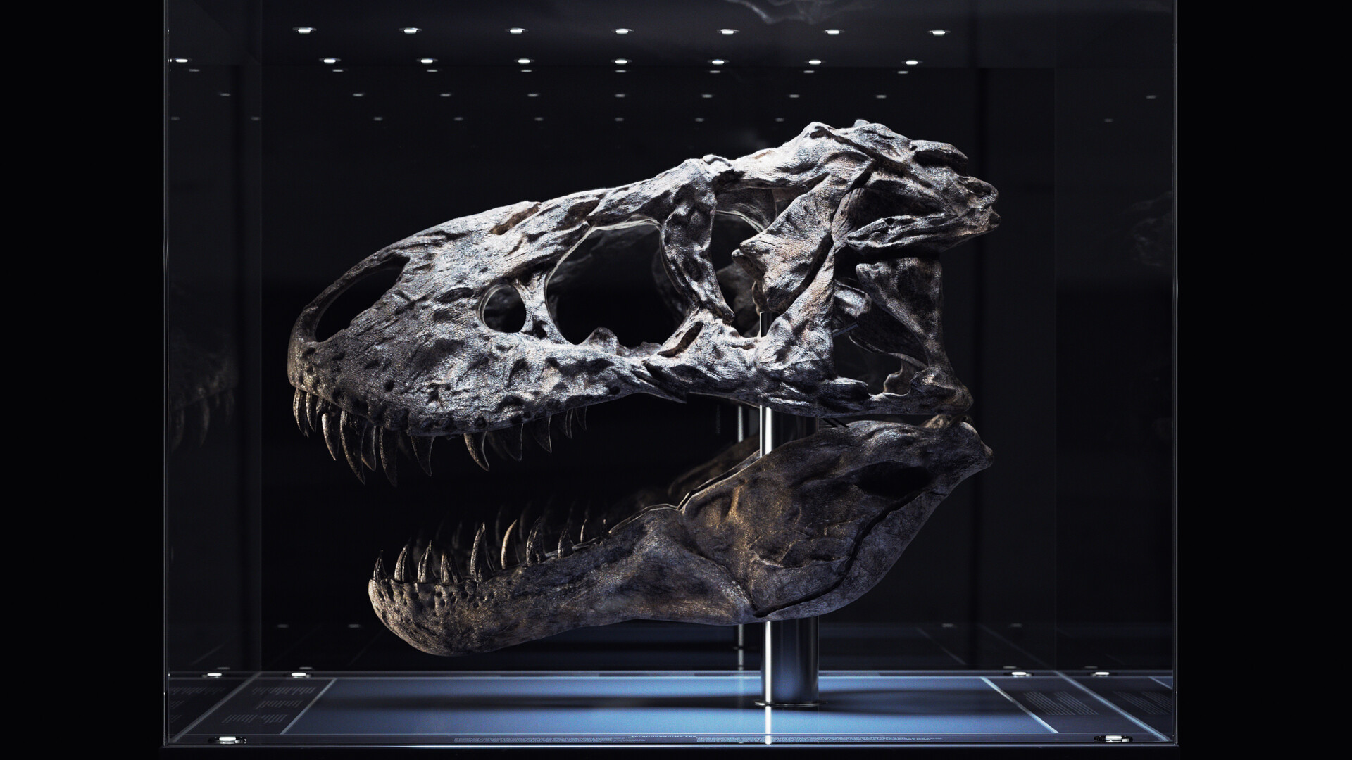 ArtStation - T-rex skull