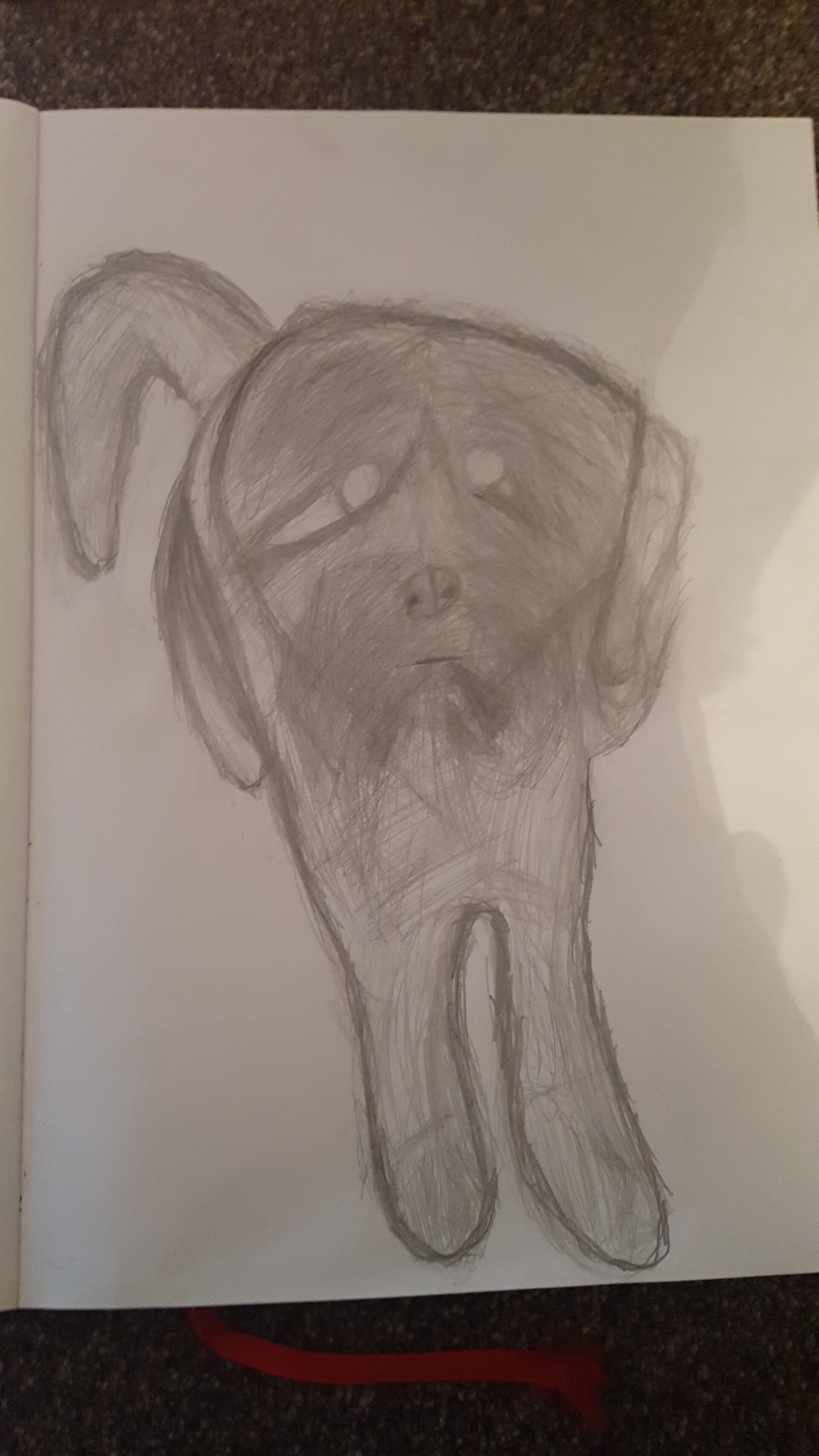 ArtStation - My dog daisy drawing