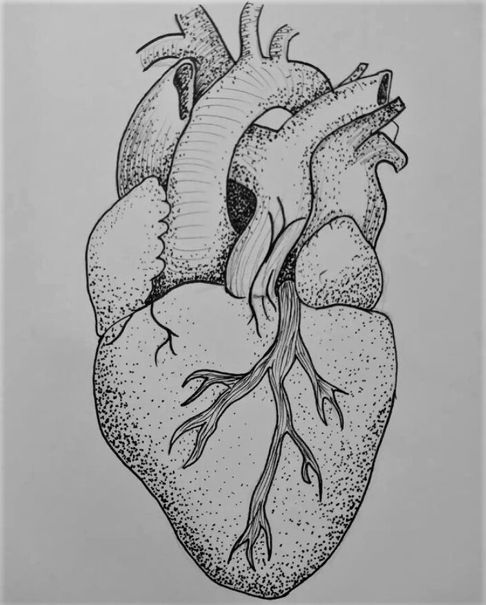 Realistic Heart Drawings Tumblr