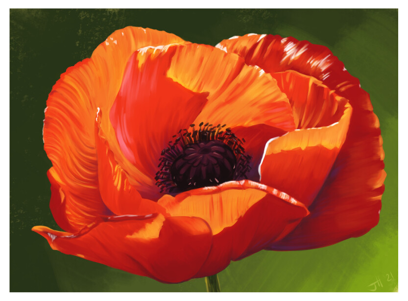 ArtStation - Poppy (study)