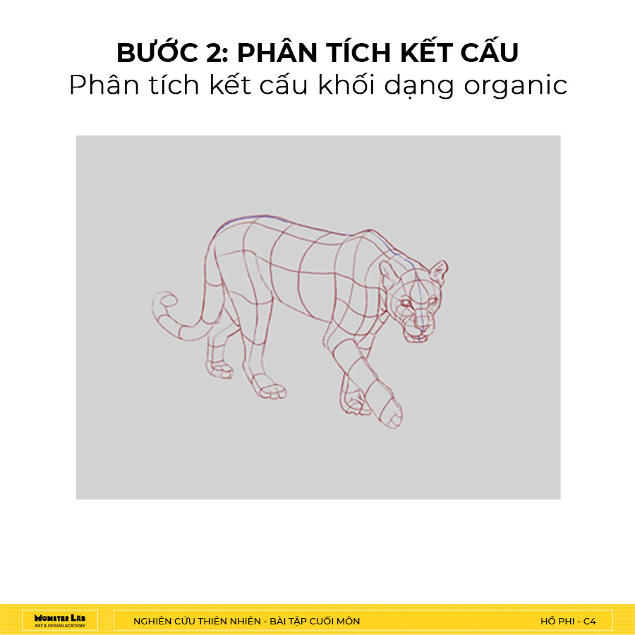 academy.monsterlab - Kinich Paw - Exercise in Nature Sketching subject