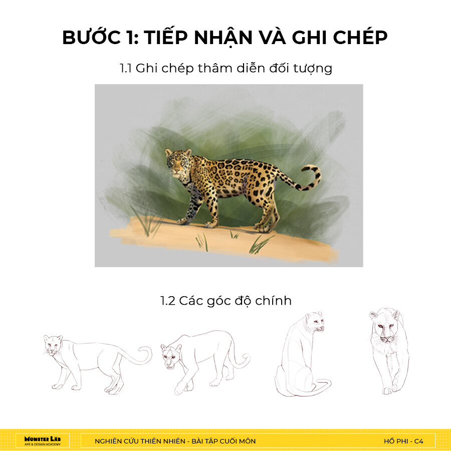 academy.monsterlab - Kinich Paw - Exercise in Nature Sketching subject