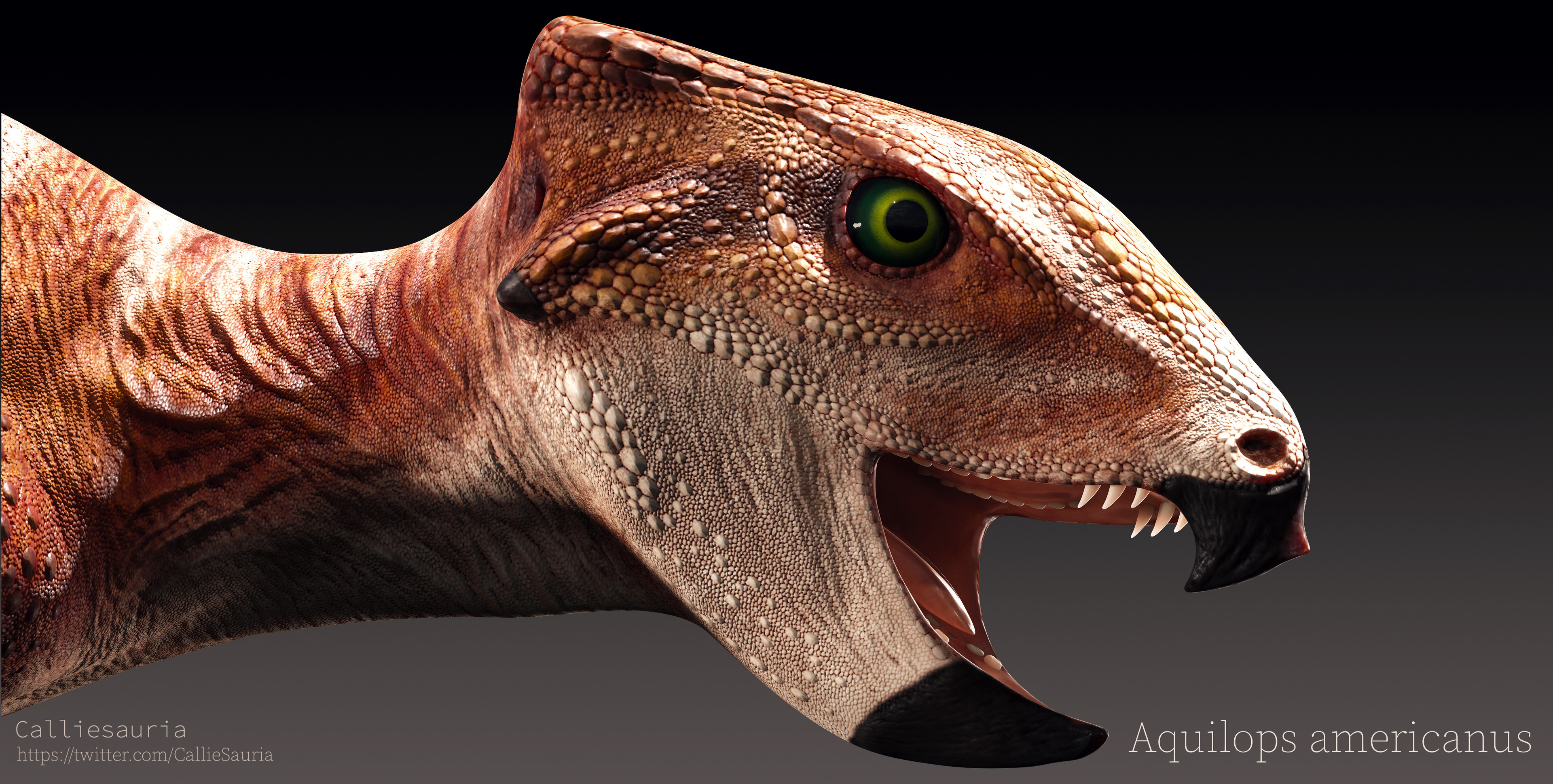 Karisauria - Aquilops americanus