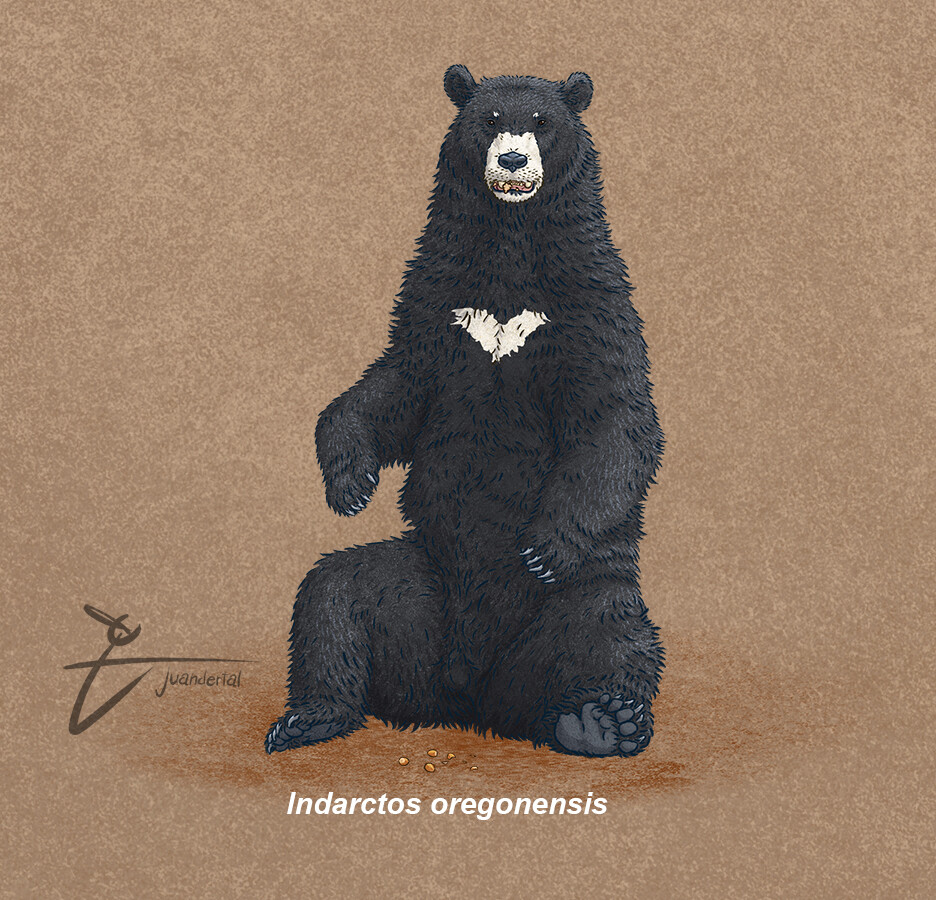 Juandertal - Bears, extinct