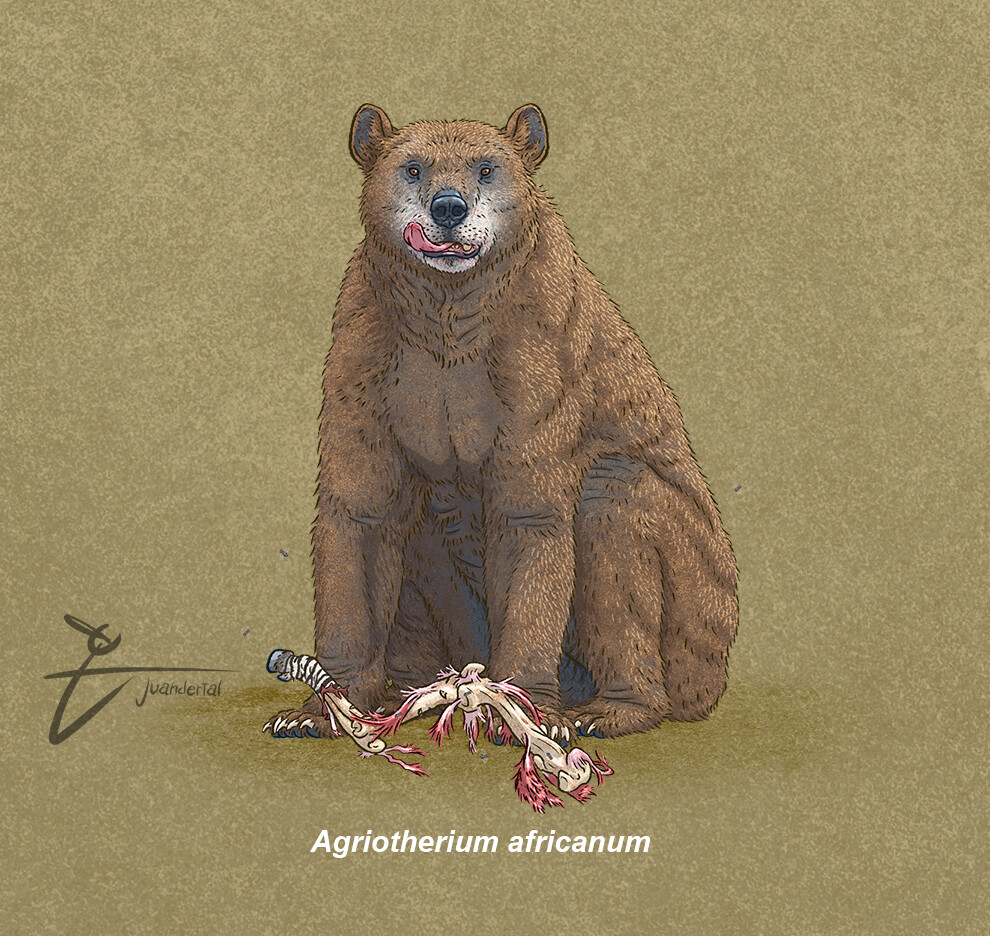 Agriotherium