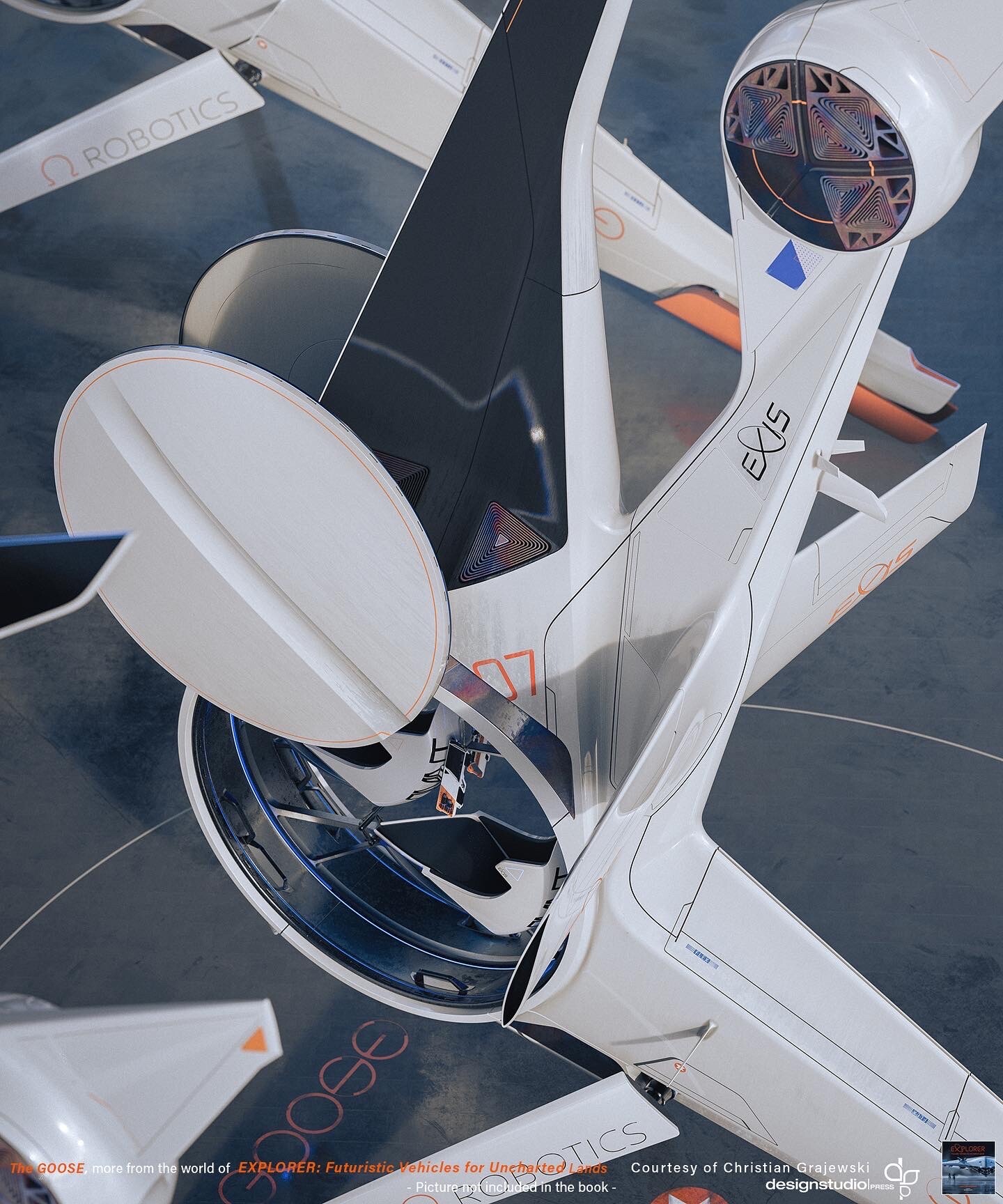 Christian Grajewski - The GOOSE