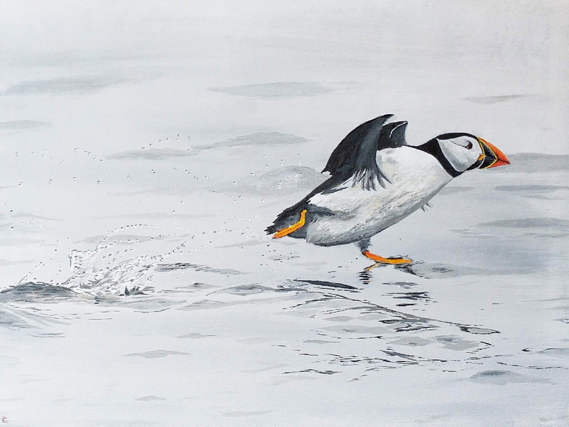 ArtStation - Puffin Crossing