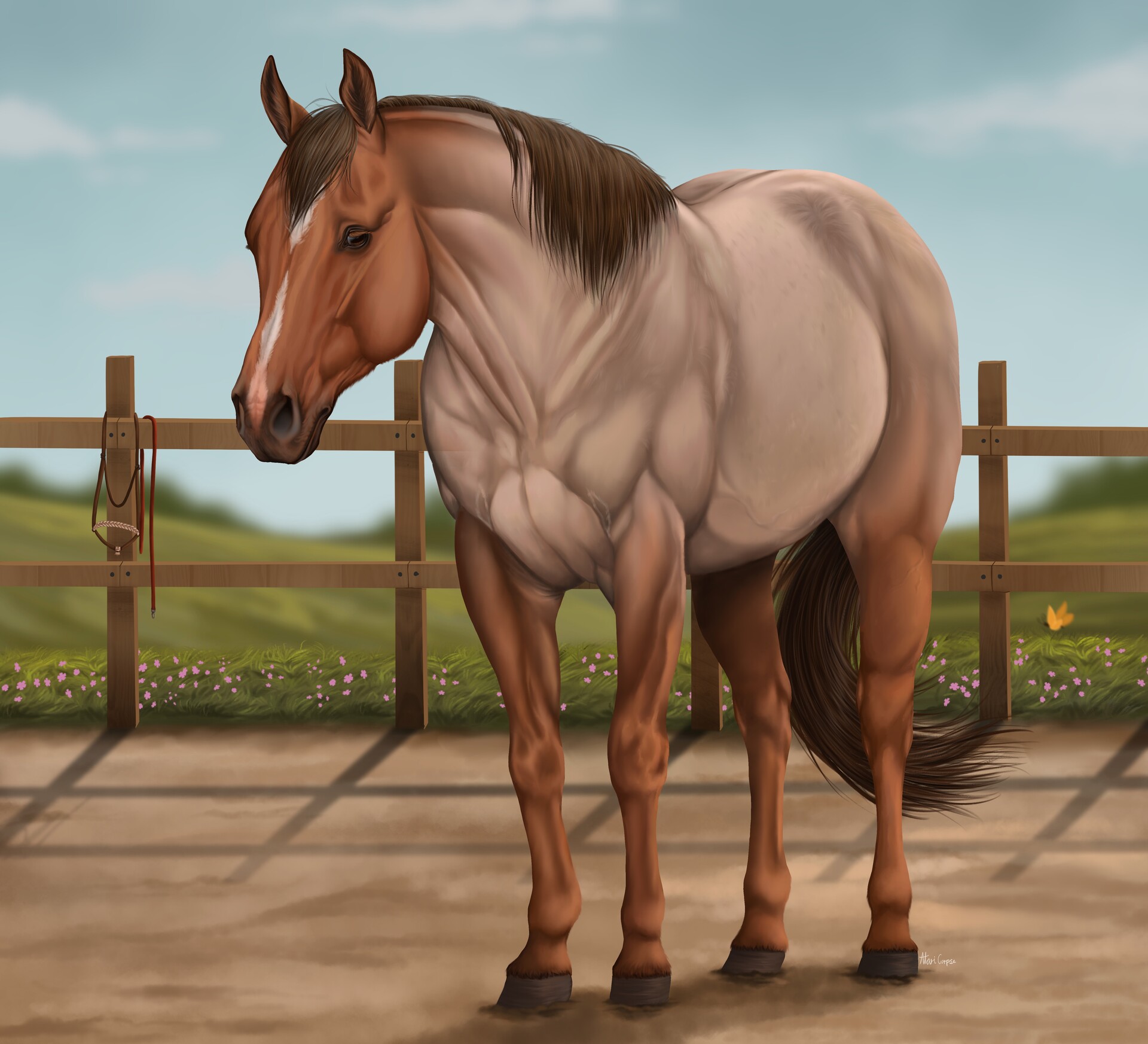 how to draw american quarter horse