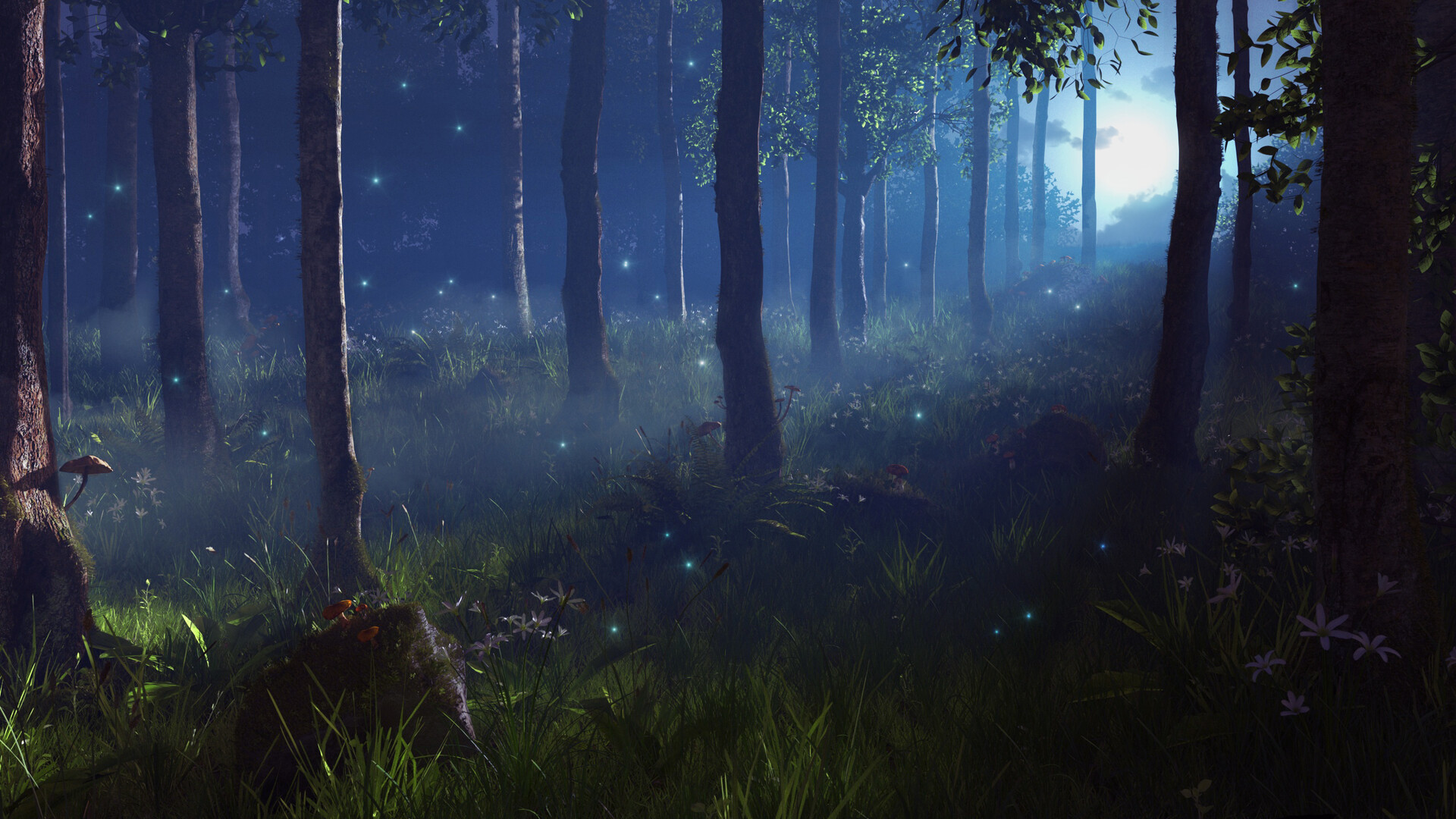 Enchanted Dark Forest Wallpaper