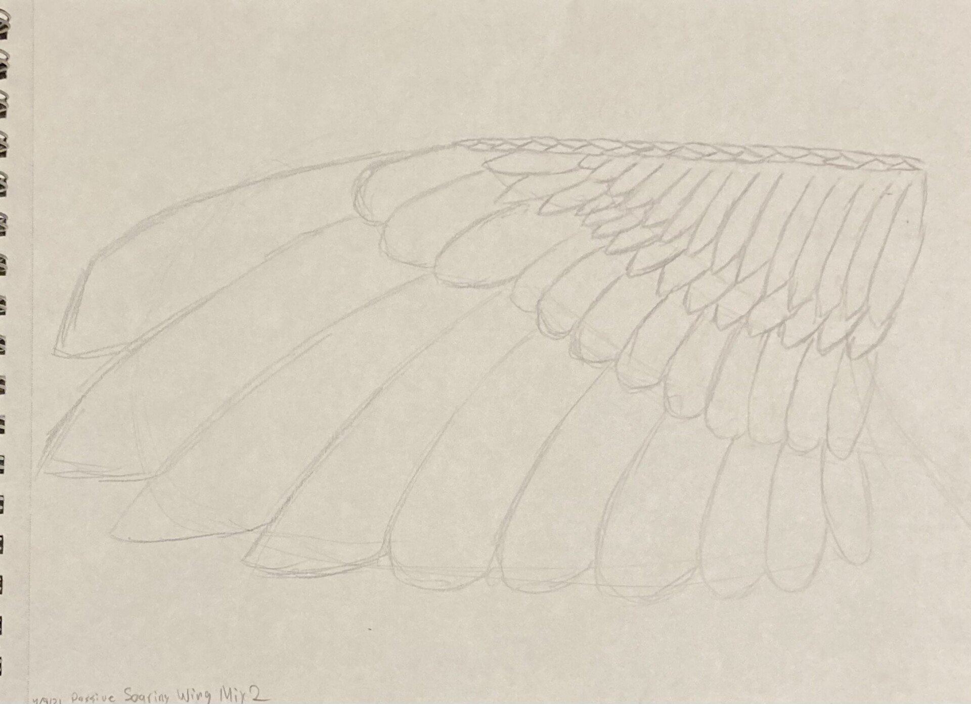 ArtStation - Passive Soaring Wing style experiment