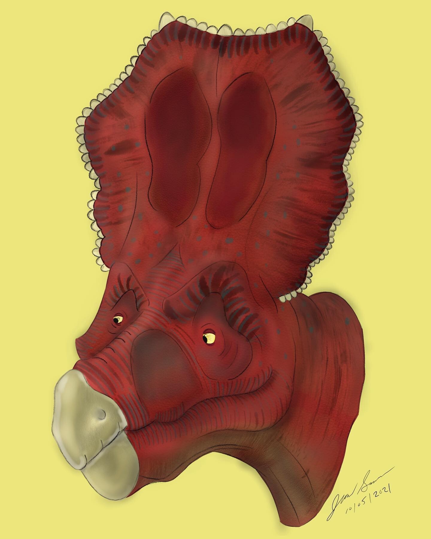 ArtStation - Protoceratops